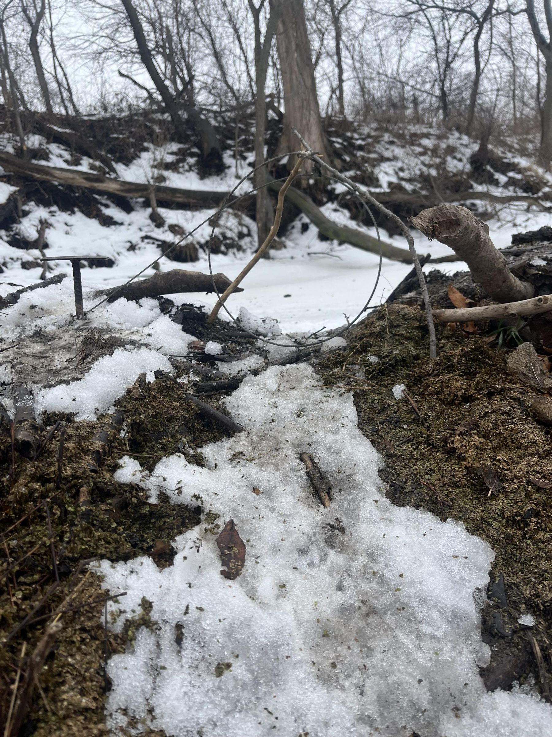 Trapping 101 : 4 Steps - Instructables