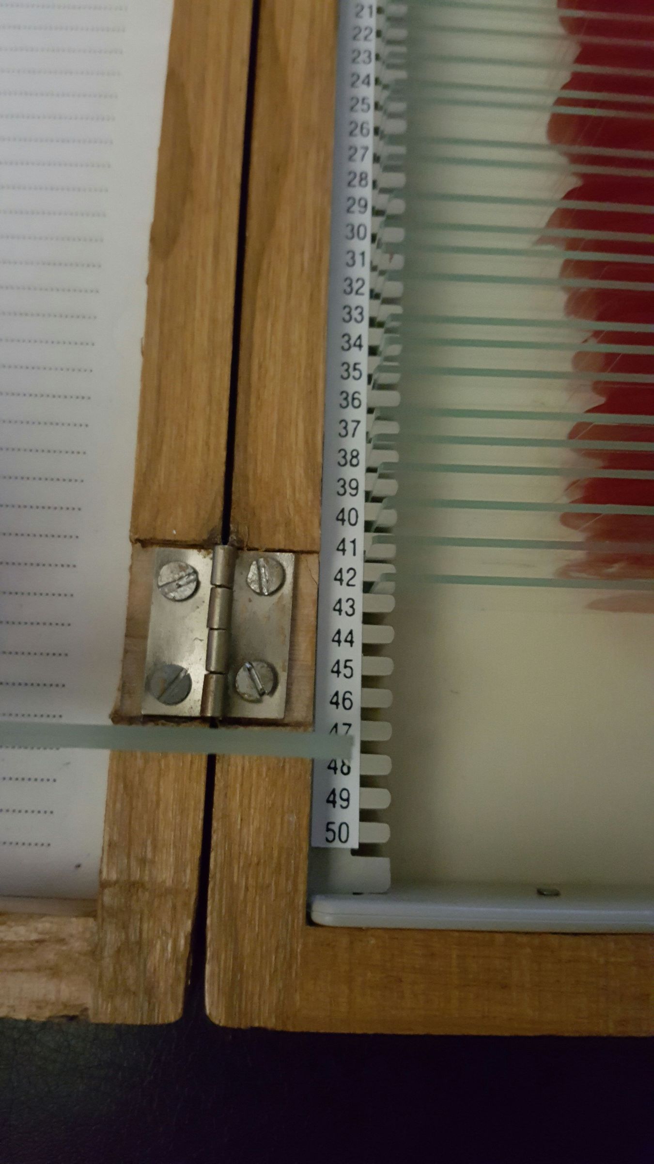 Dexter Trophy Case for UNDER $20 : 4 Steps - Instructables