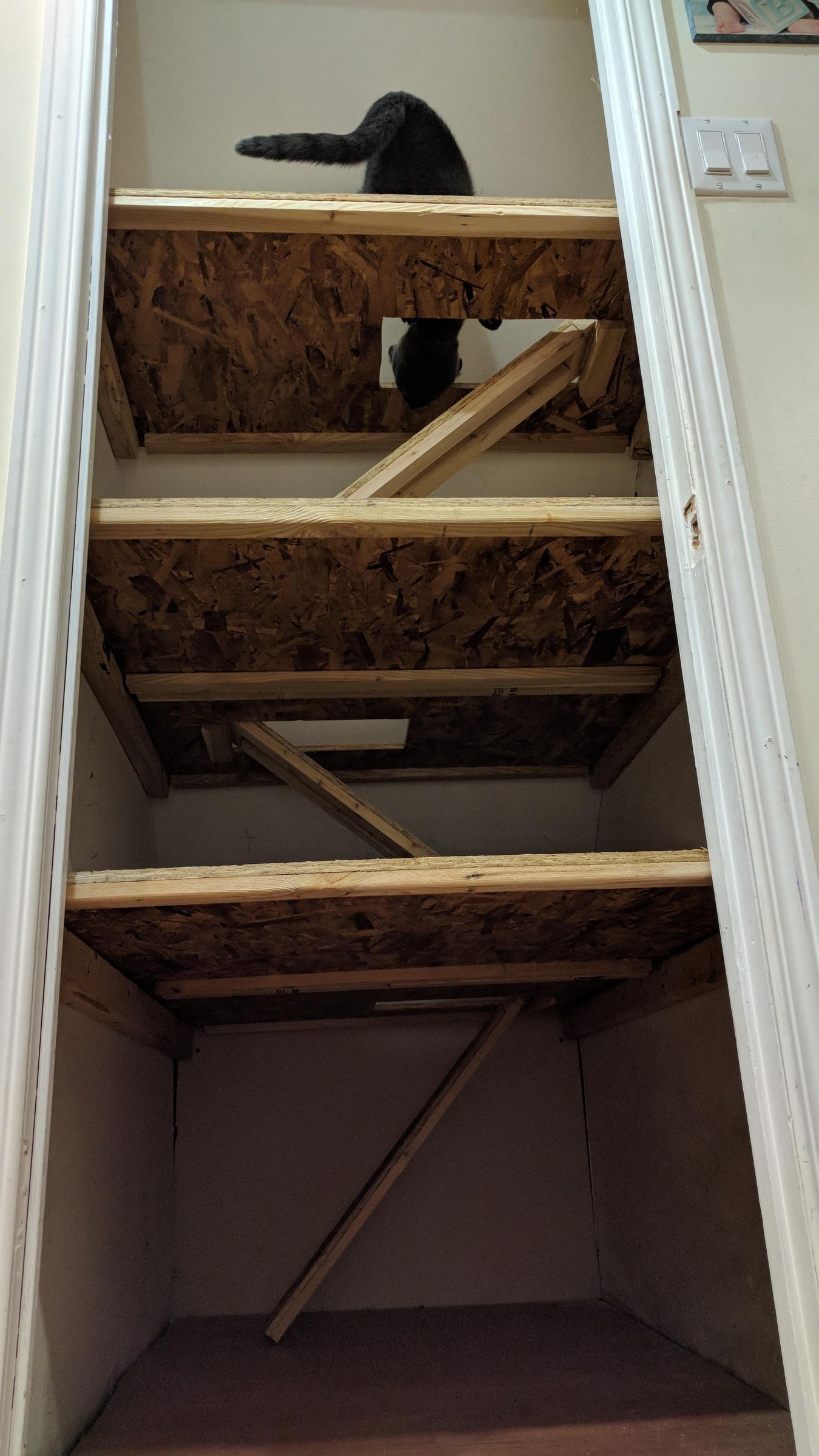 A Cat Chalet; Why Not? : 7 Steps (with Pictures) - Instructables