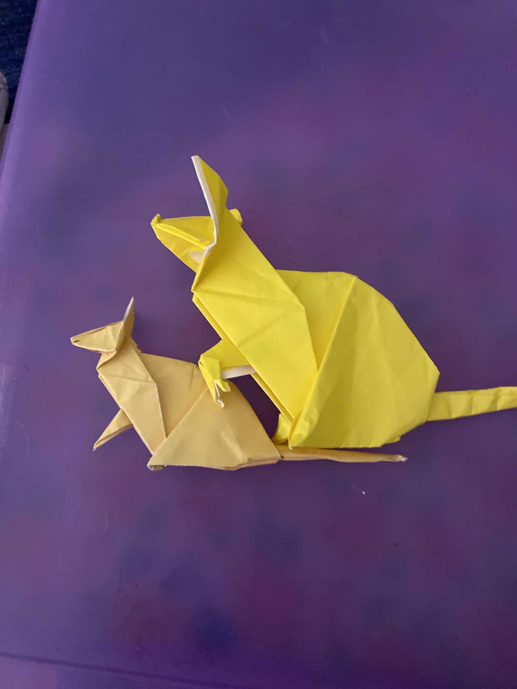 Origami Rat : 27 Steps - Instructables