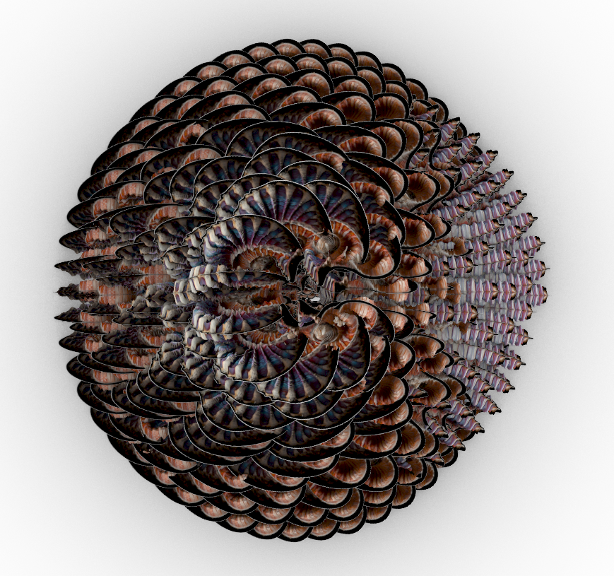 Angulate Wentletrap Inspired Shell : 7 Steps (with Pictures ...