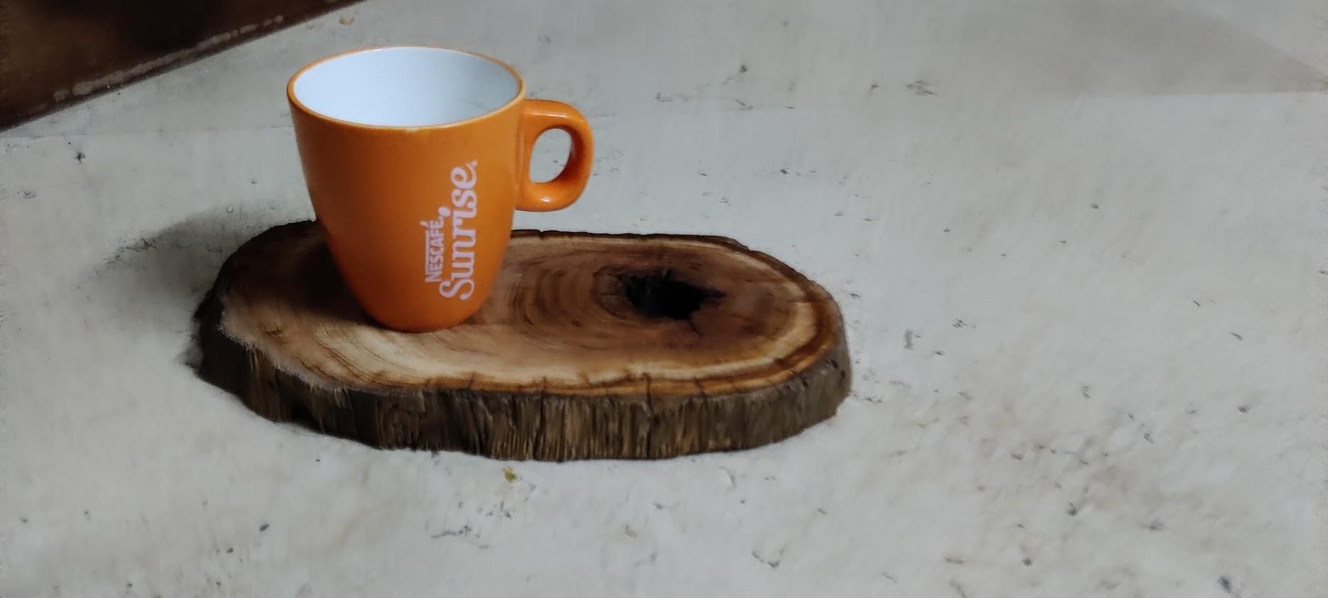 Live Edge Coaster From Ancient Himalayan Yew Log : 5 Steps - Instructables