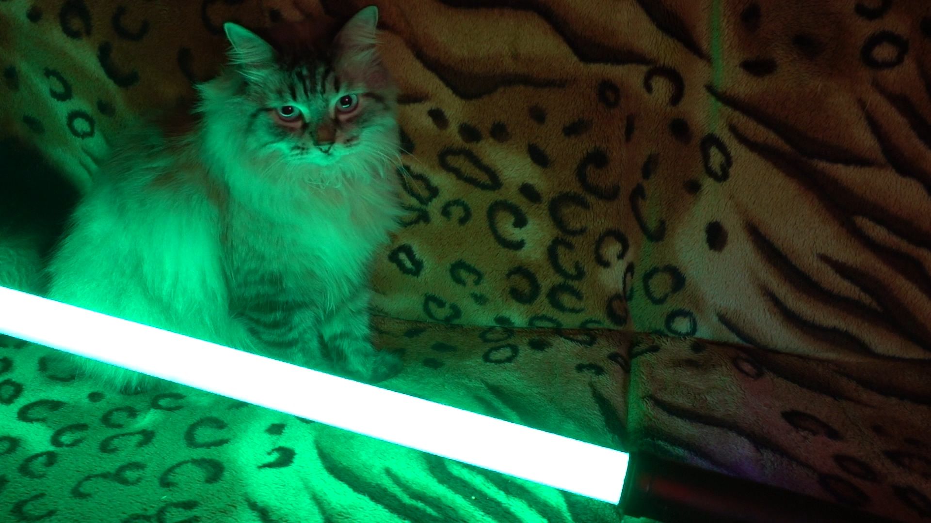 Arduino Based Lightsaber With Light and Sound Effects : 14 Steps (with ...