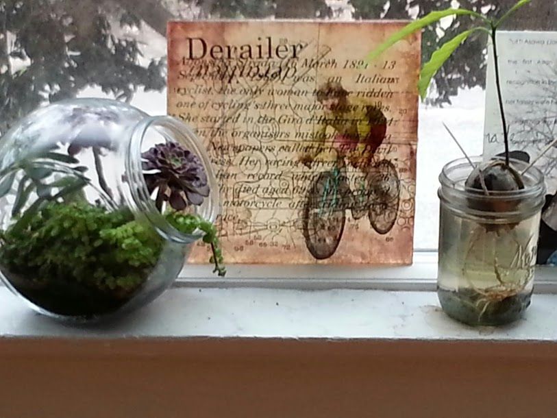 Transfer Photos Onto Plexiglass : 4 Steps (with Pictures) - Instructables