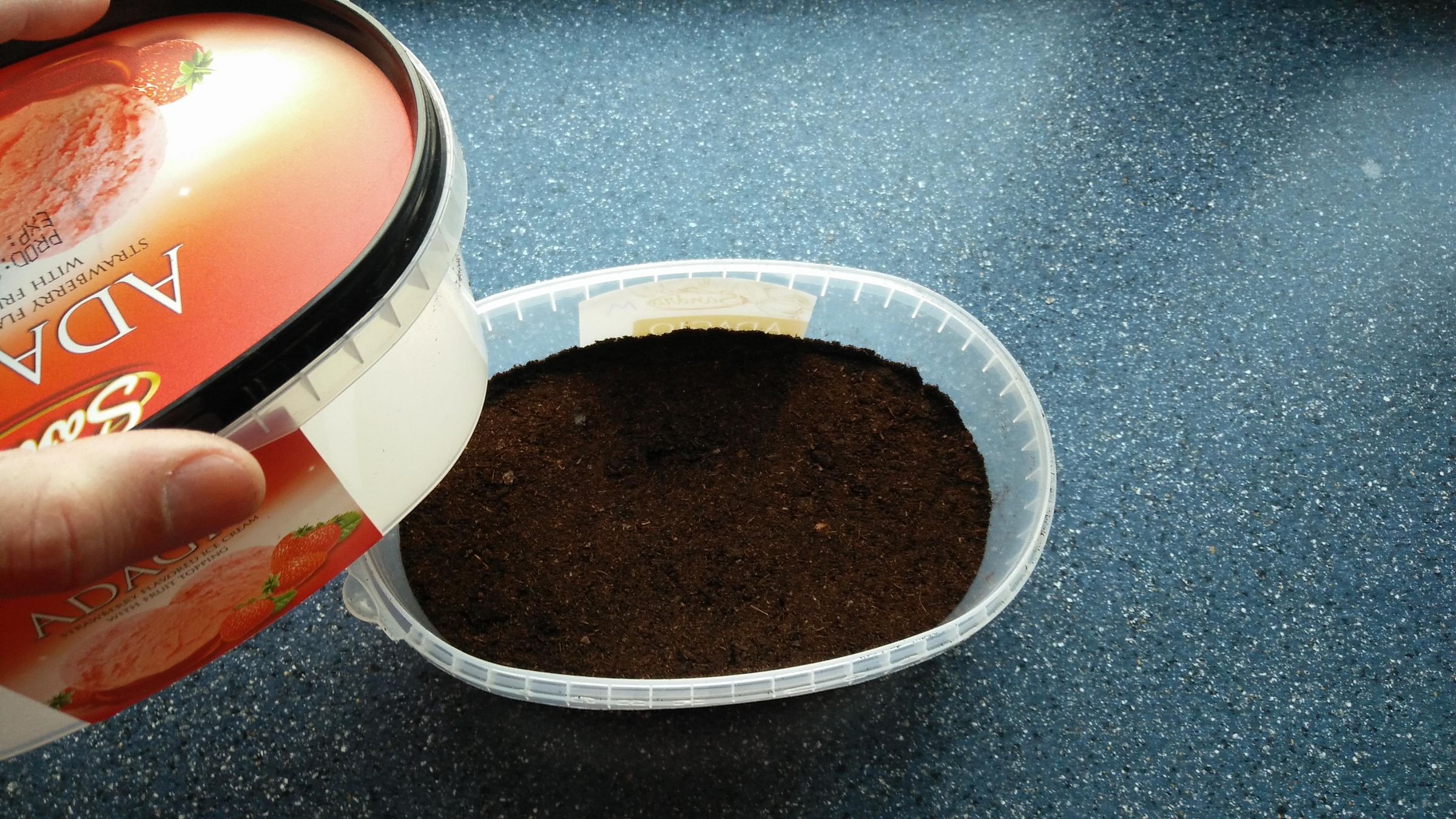 🌼 DIY Seedling Propagator From Recycled Plastic Container 🌼 : 12 Steps ...