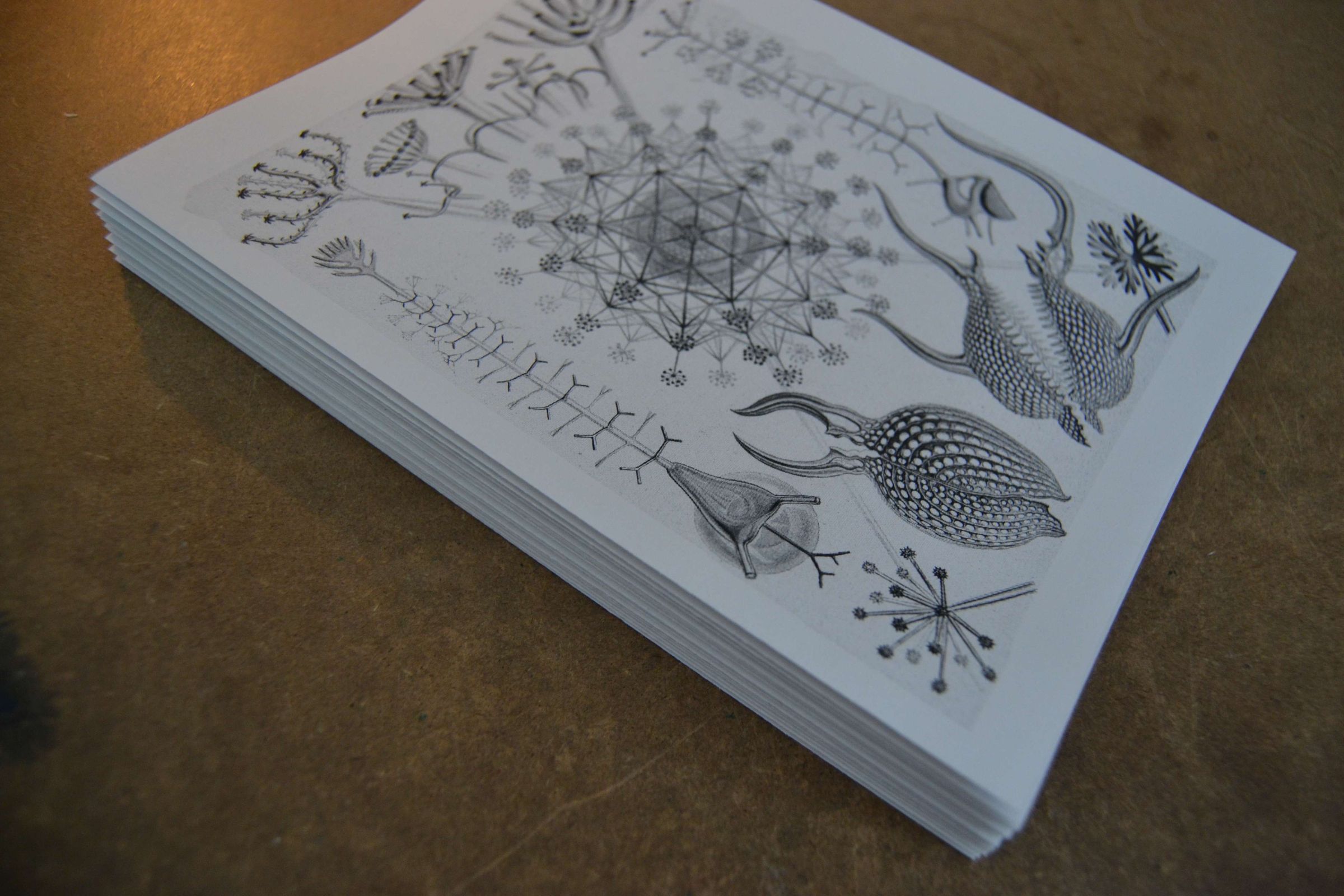 How to Bind a Book : 8 Steps (with Pictures) - Instructables