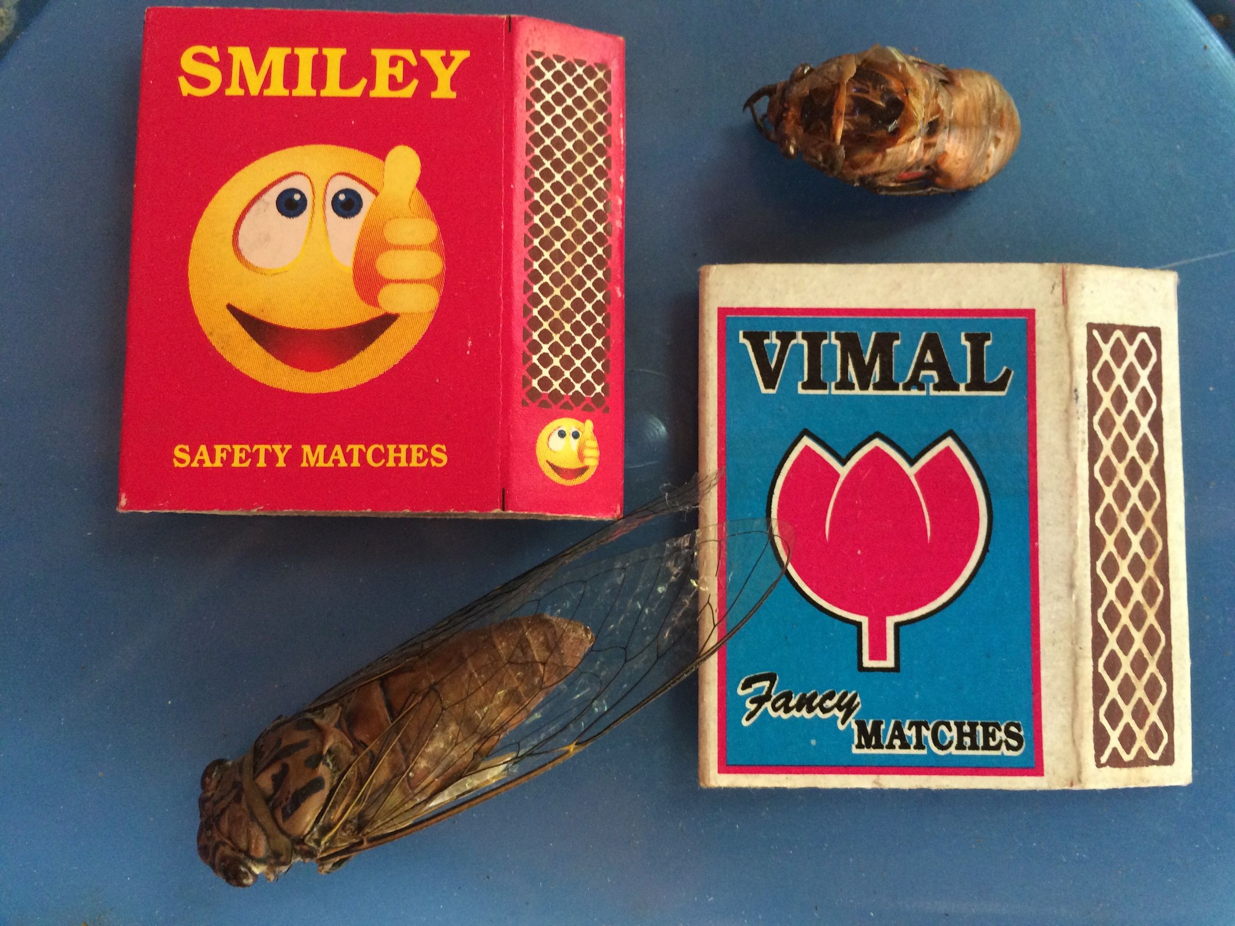 Match Box Picture Frames : 13 Steps (with Pictures) - Instructables