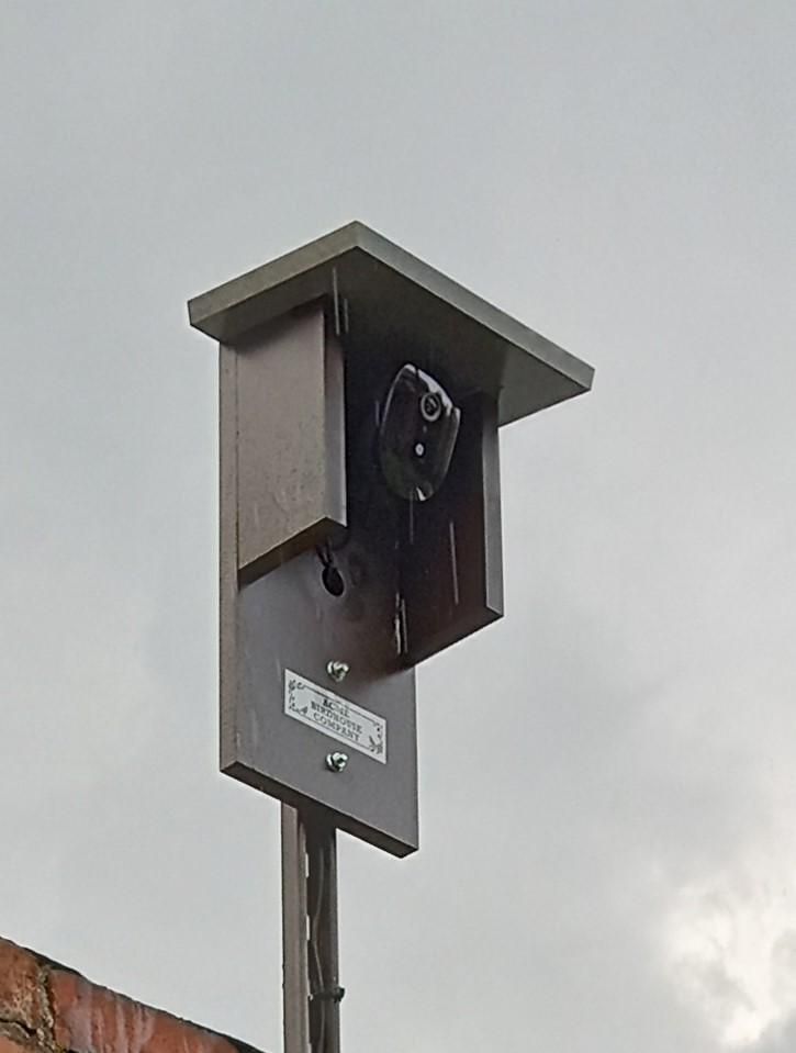 DIY Bird House Cover for Security Camera : 7 Steps (with Pictures ...