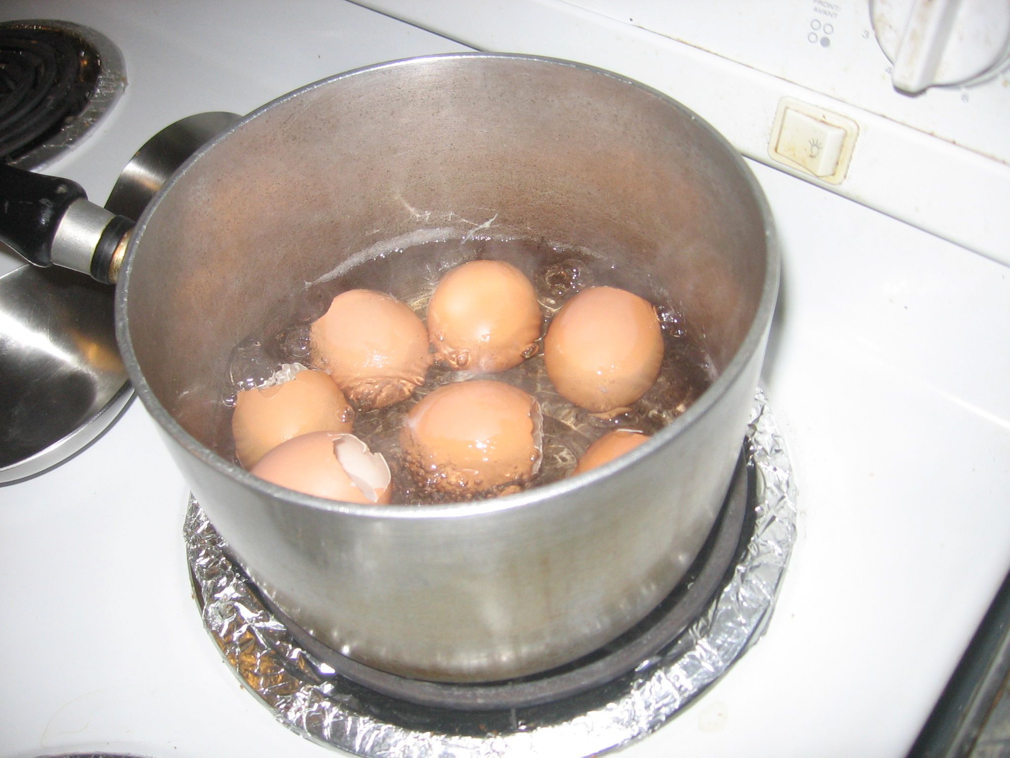 Eggshell Seed Starters : 7 Steps (with Pictures) - Instructables