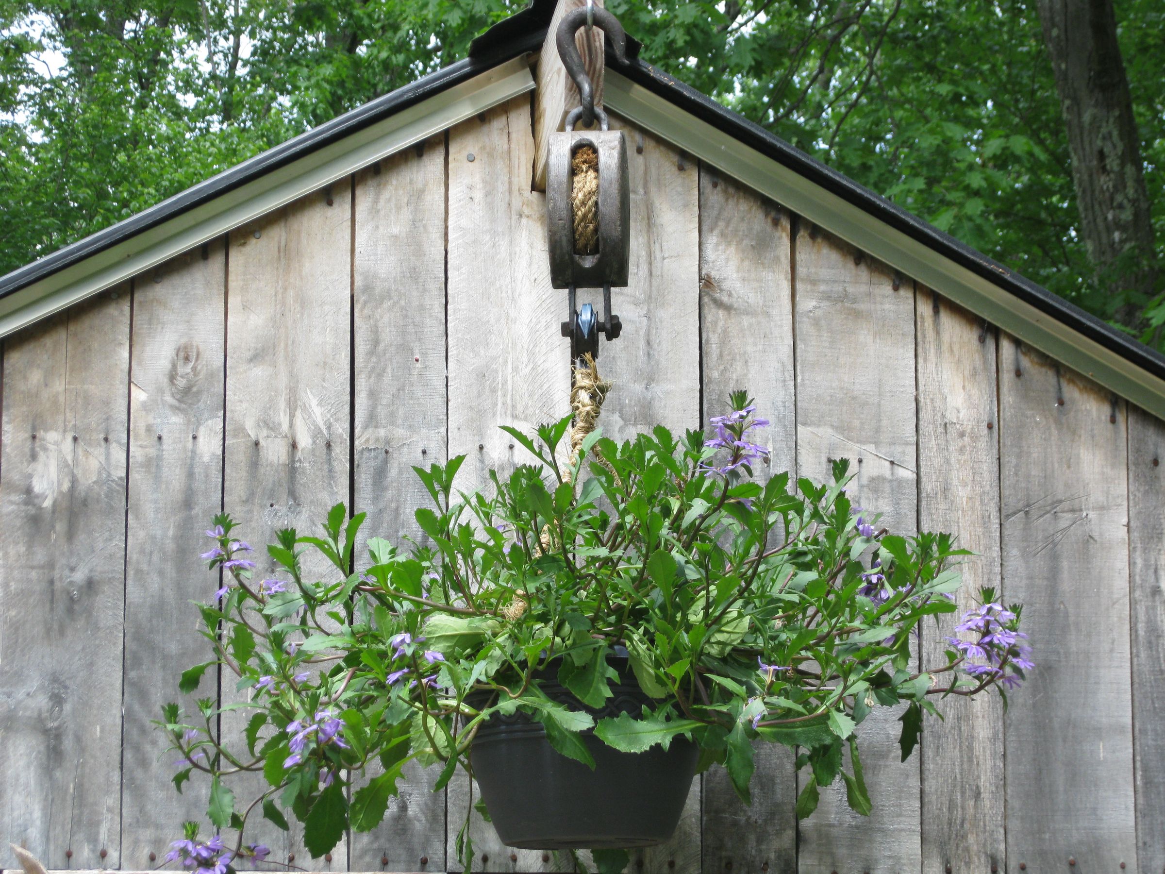 PULLEY PLANTER : 4 Steps - Instructables