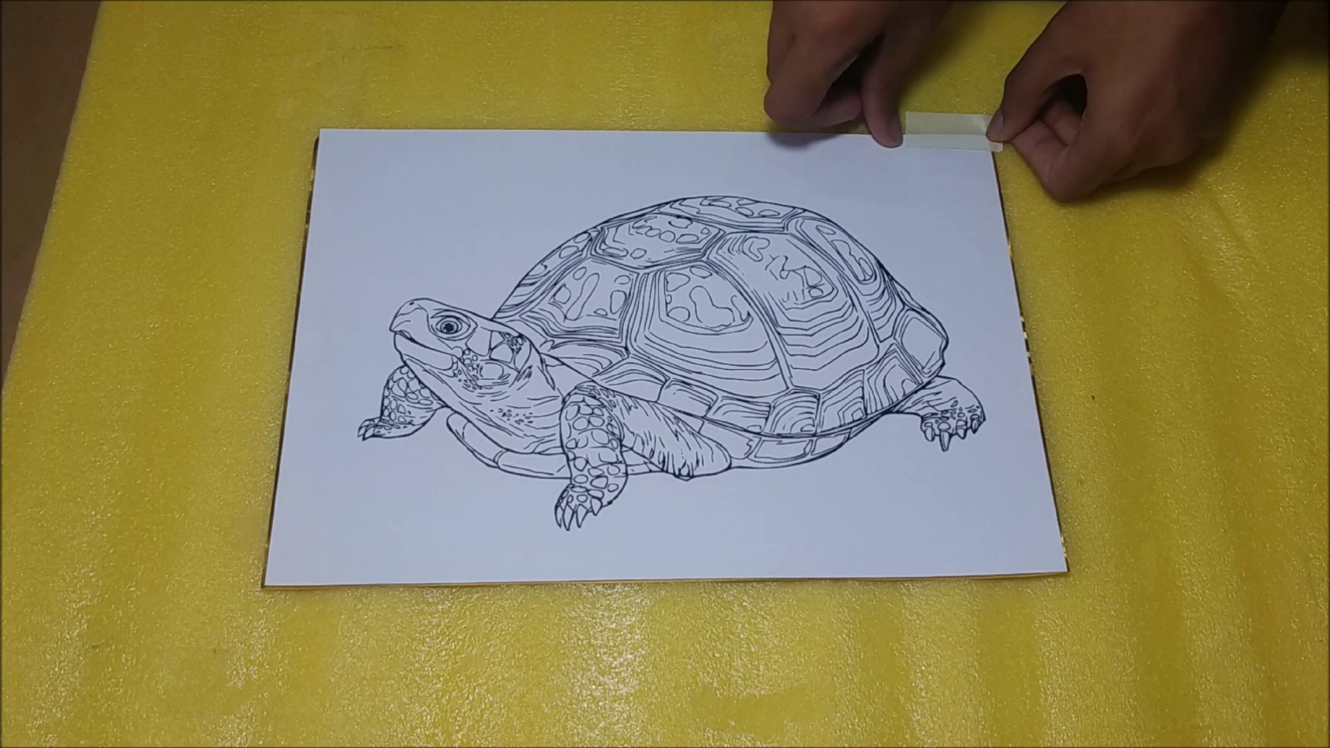 How to Make Turtle Embossed Painting|Metal Art : 4 Steps - Instructables