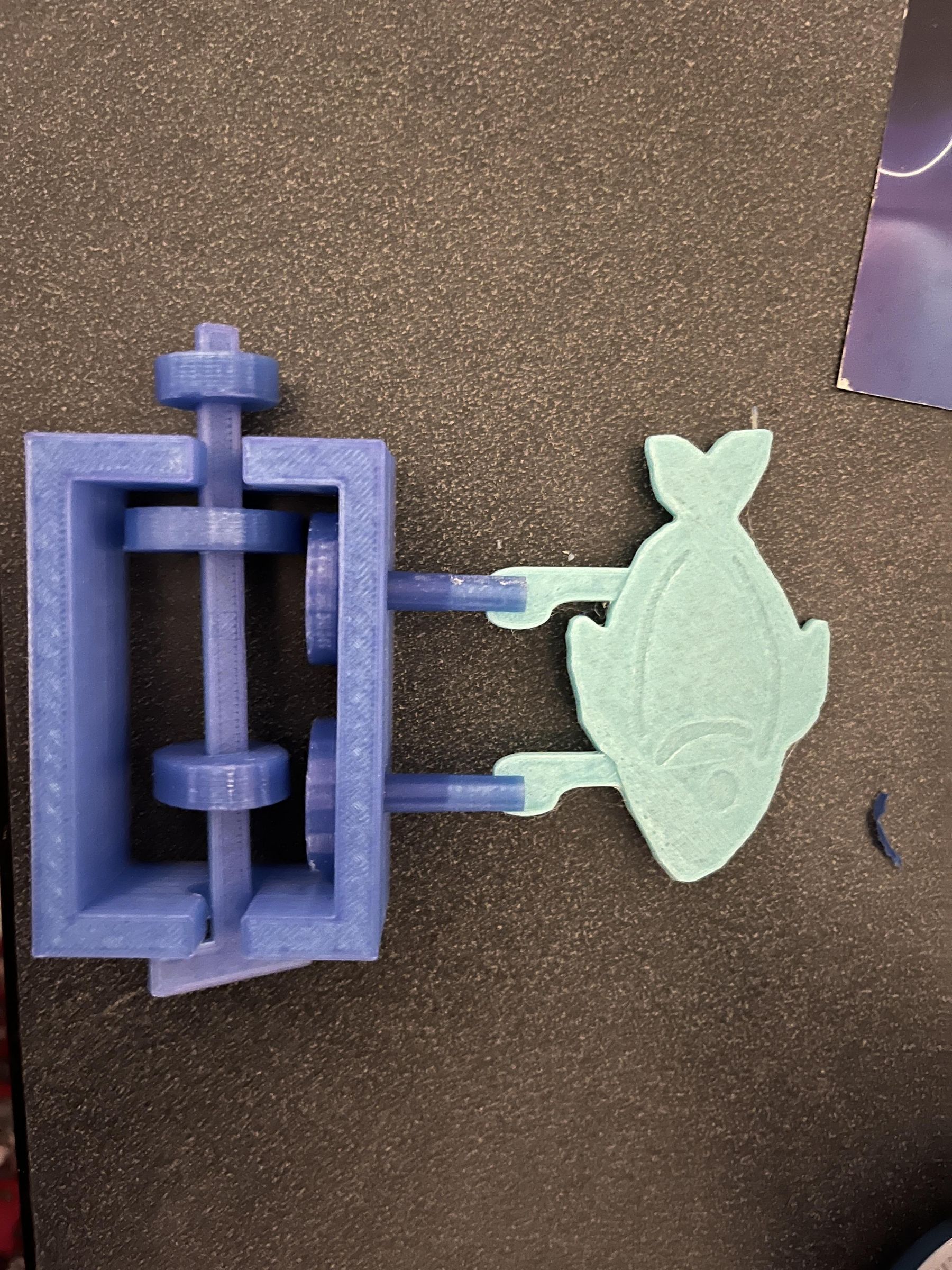 Fish Cam Toy : 3 Steps - Instructables