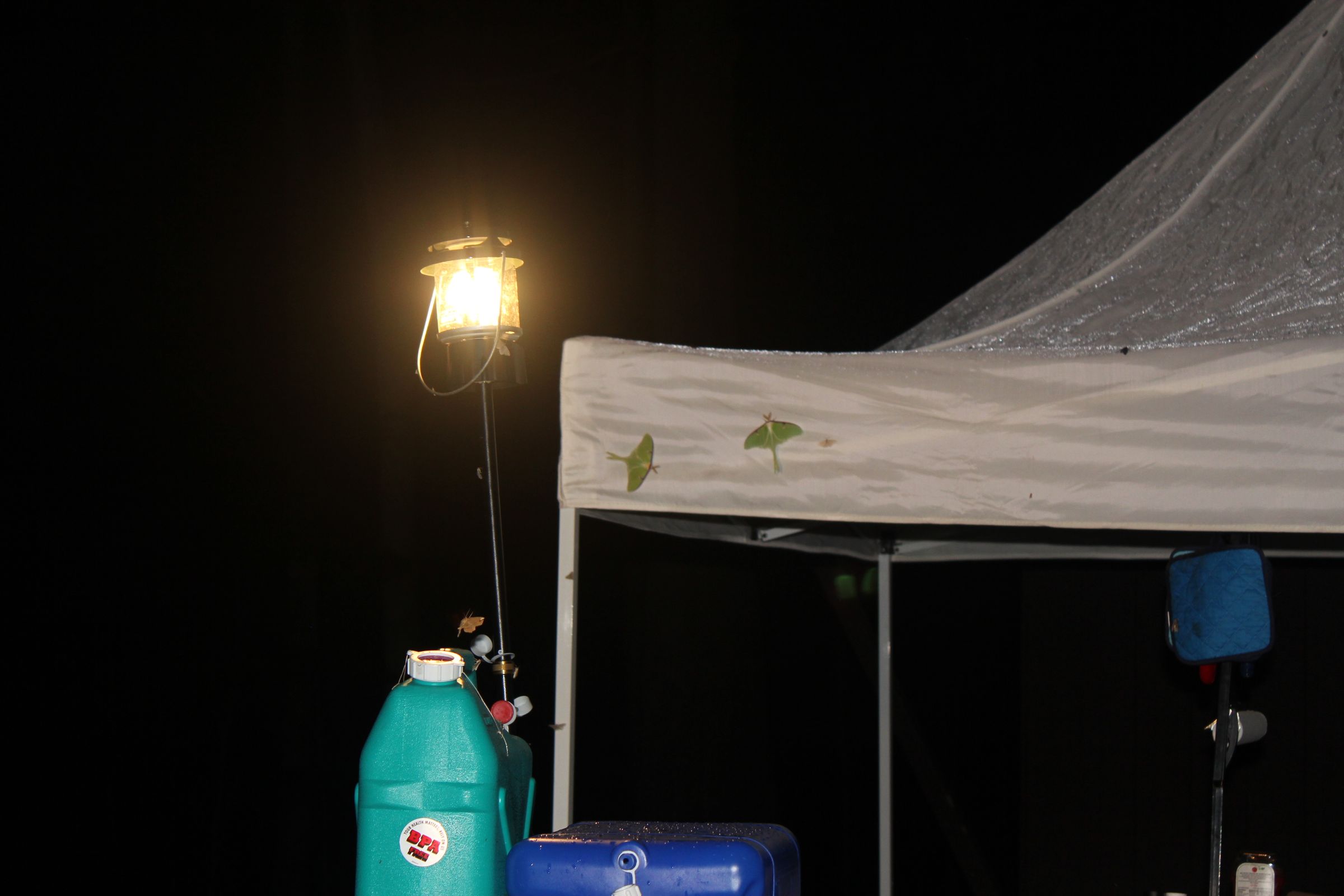 Camping Tips and Tricks : 7 Steps (with Pictures) - Instructables
