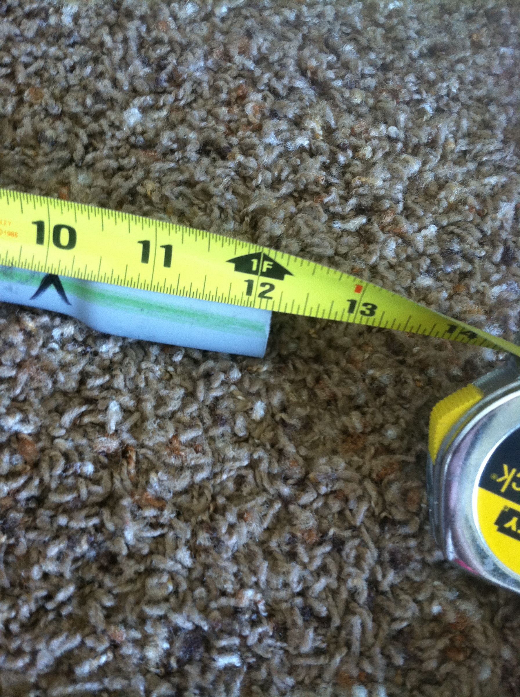 Easy Rebuildable PVC Fort : 3 Steps - Instructables