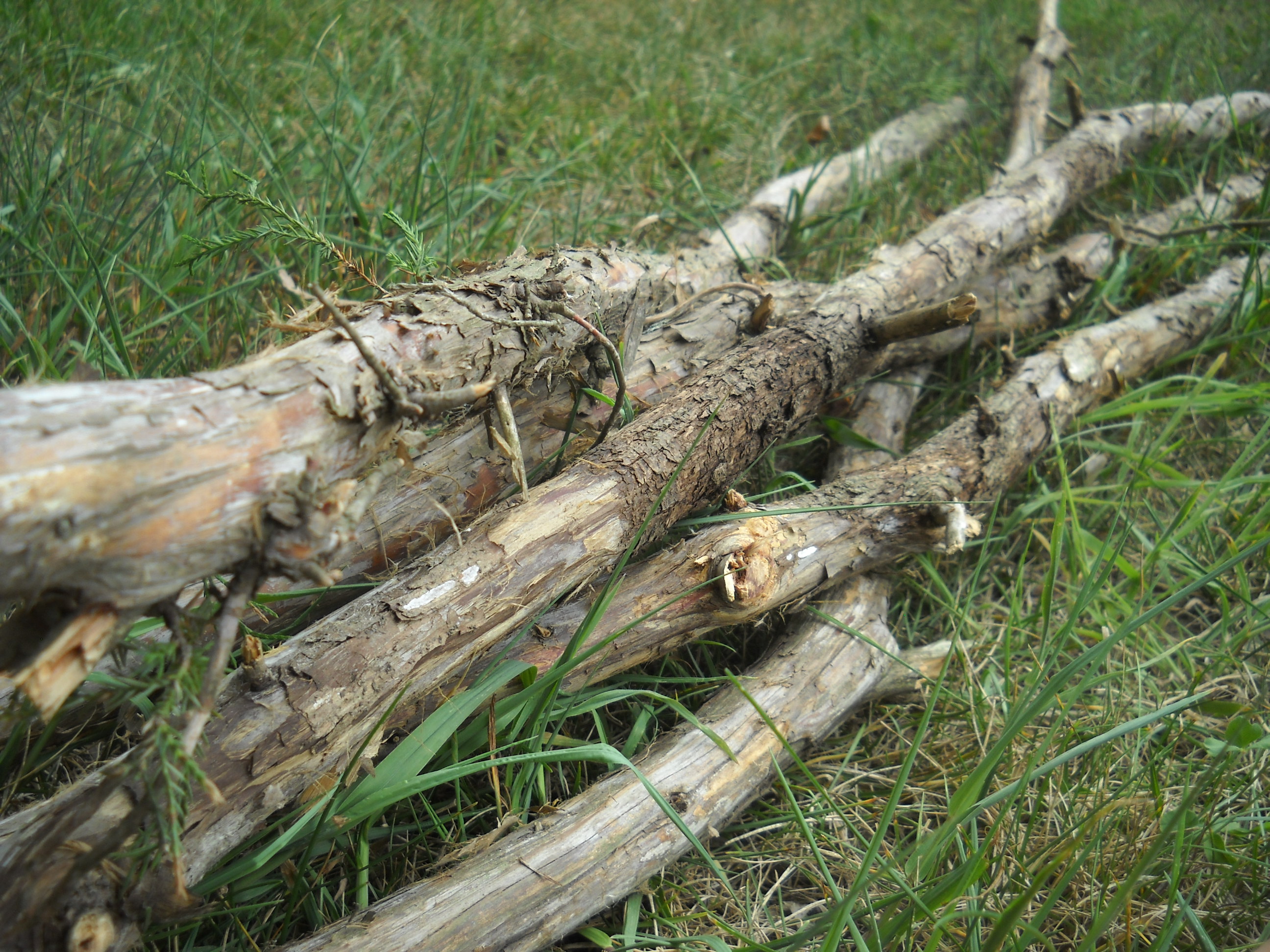 Log Cabin Bird House : 12 Steps (with Pictures) - Instructables