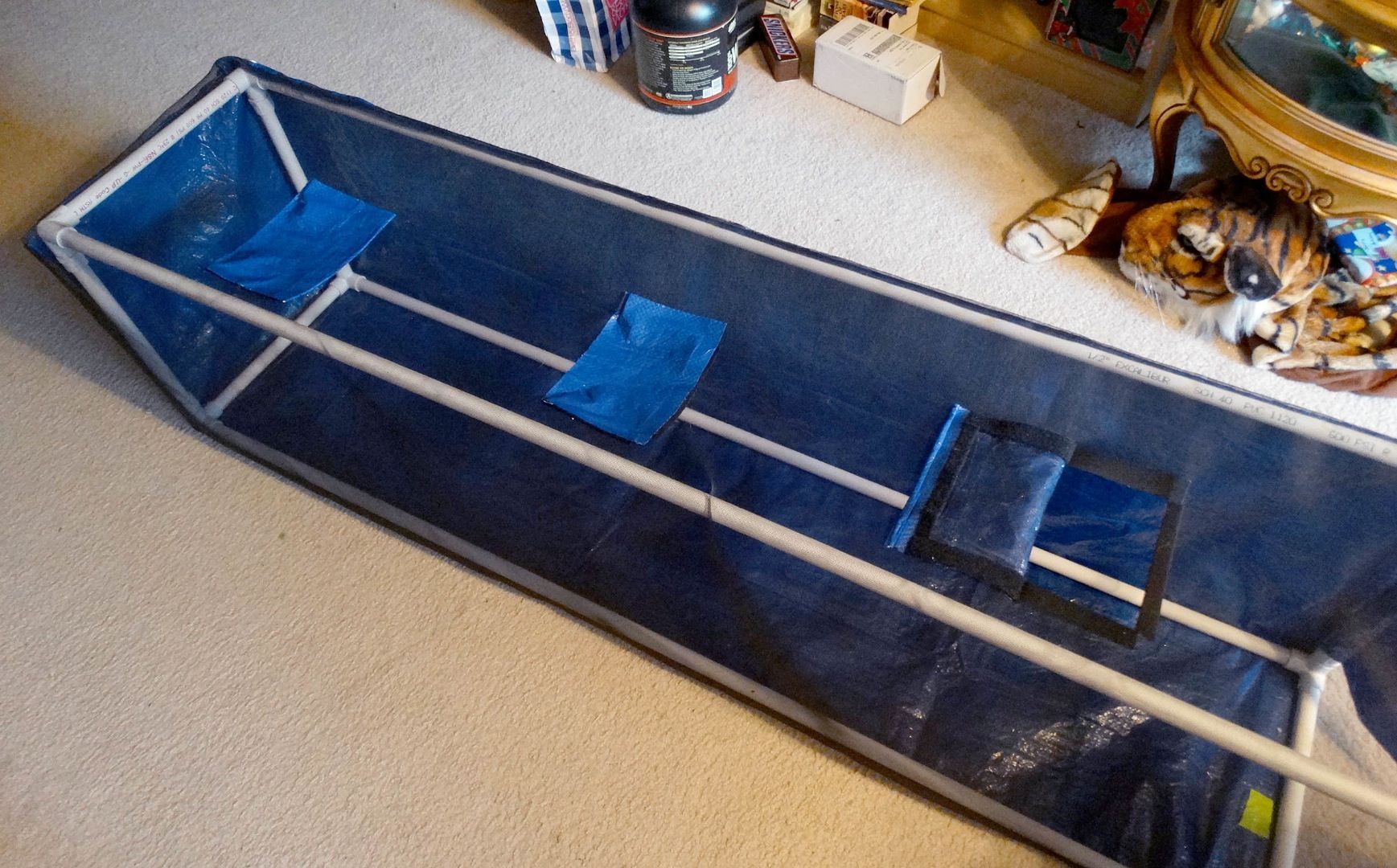 Raising Giant Silk Moths : 15 Steps (with Pictures) - Instructables