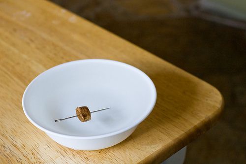 How to Make a Survival Compass With 3 Items : 5 Steps - Instructables