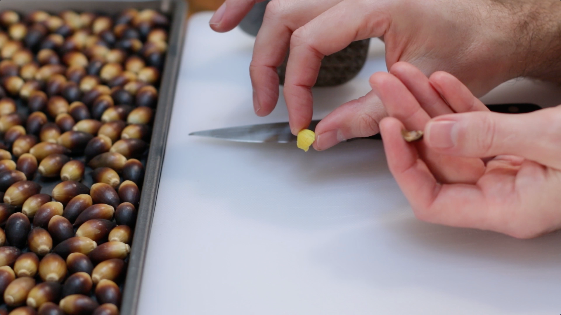 How to Process Acorns and Make Acorn Flour : 8 Steps (with Pictures ...