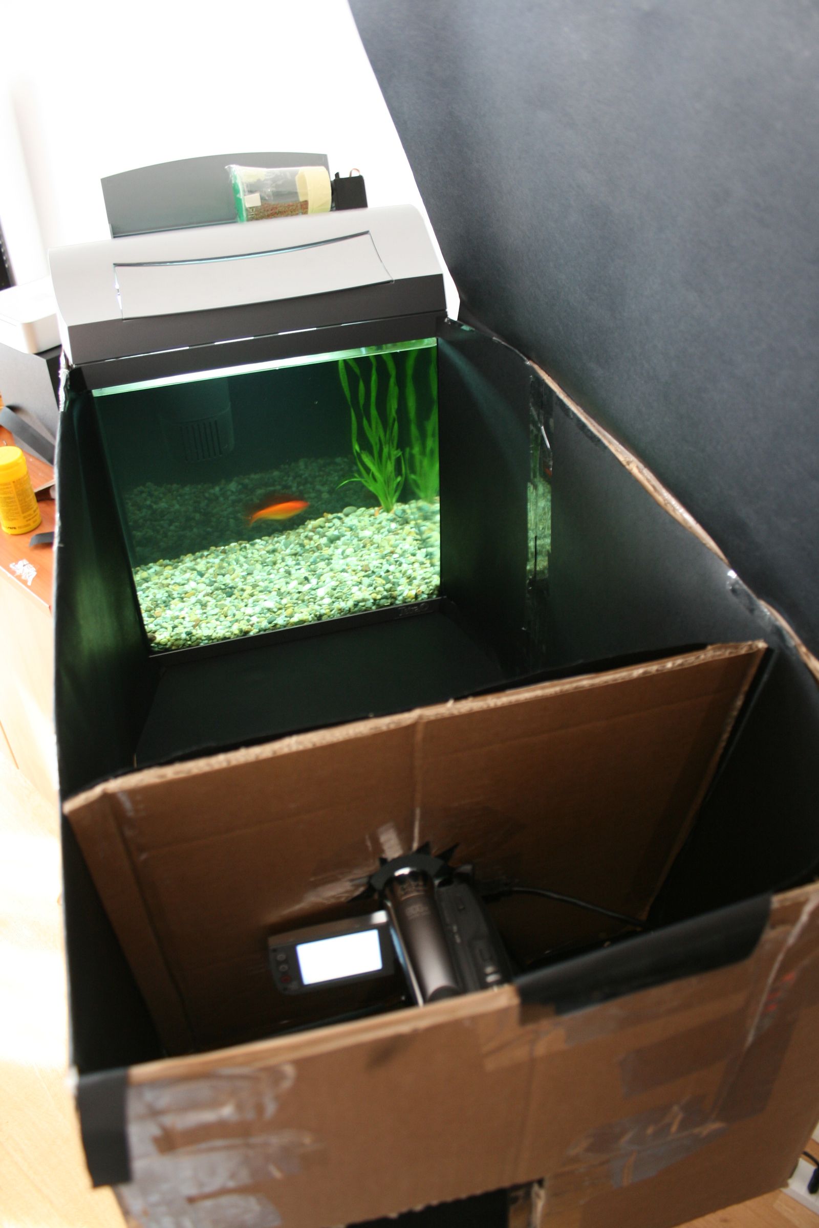 FOOF FOR FISH EXPERIMENT - Instructables