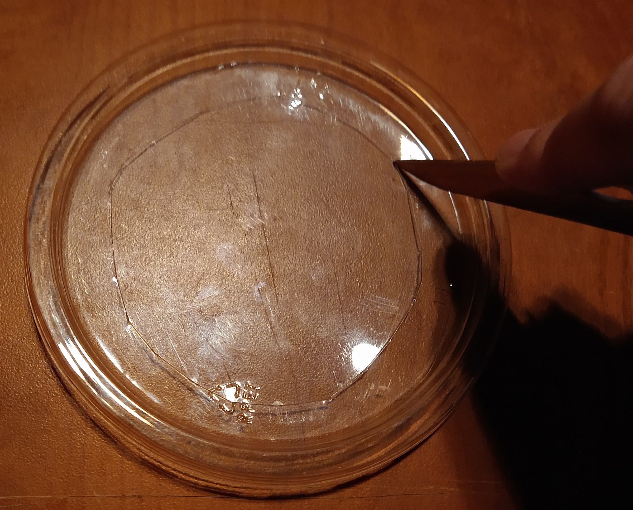 Perfect Praying Mantis Cups : 9 Steps (with Pictures) - Instructables