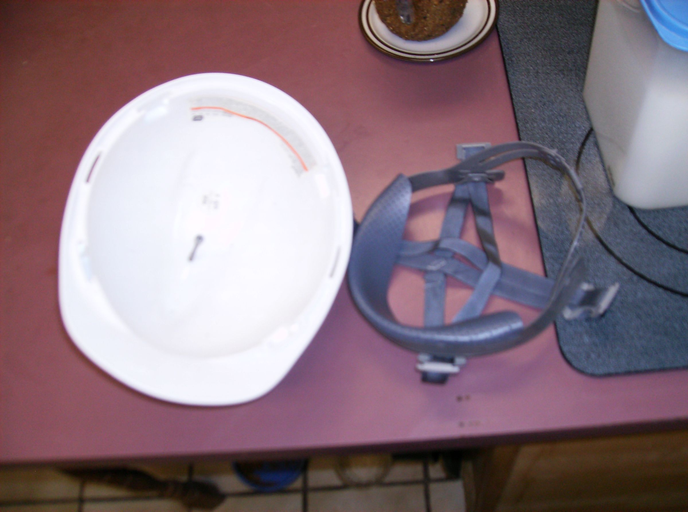 The Taxidermied Fish Helmet! : 5 Steps (with Pictures) - Instructables