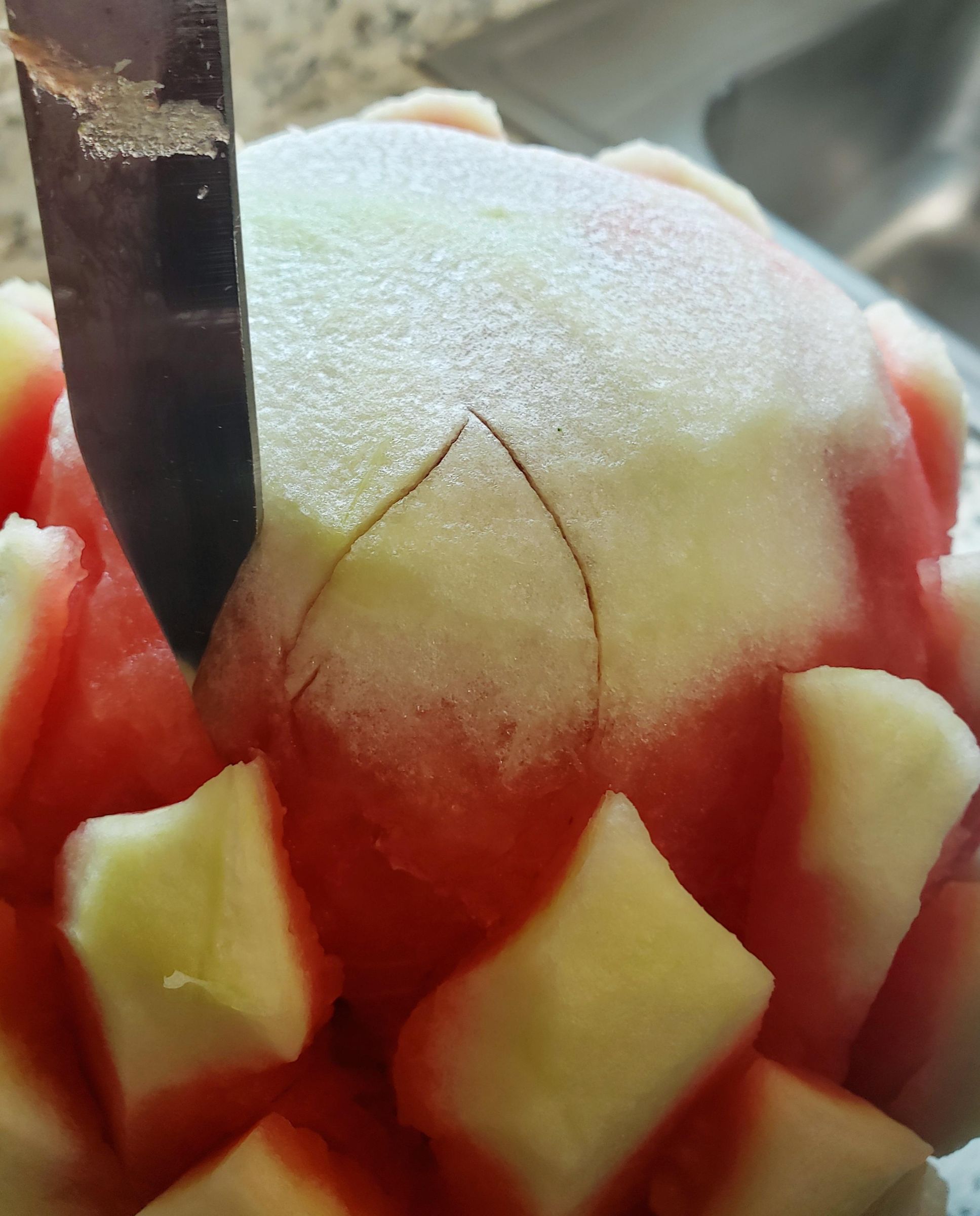 Watermelon Lotus Flower Carving! : 17 Steps (with Pictures) - Instructables