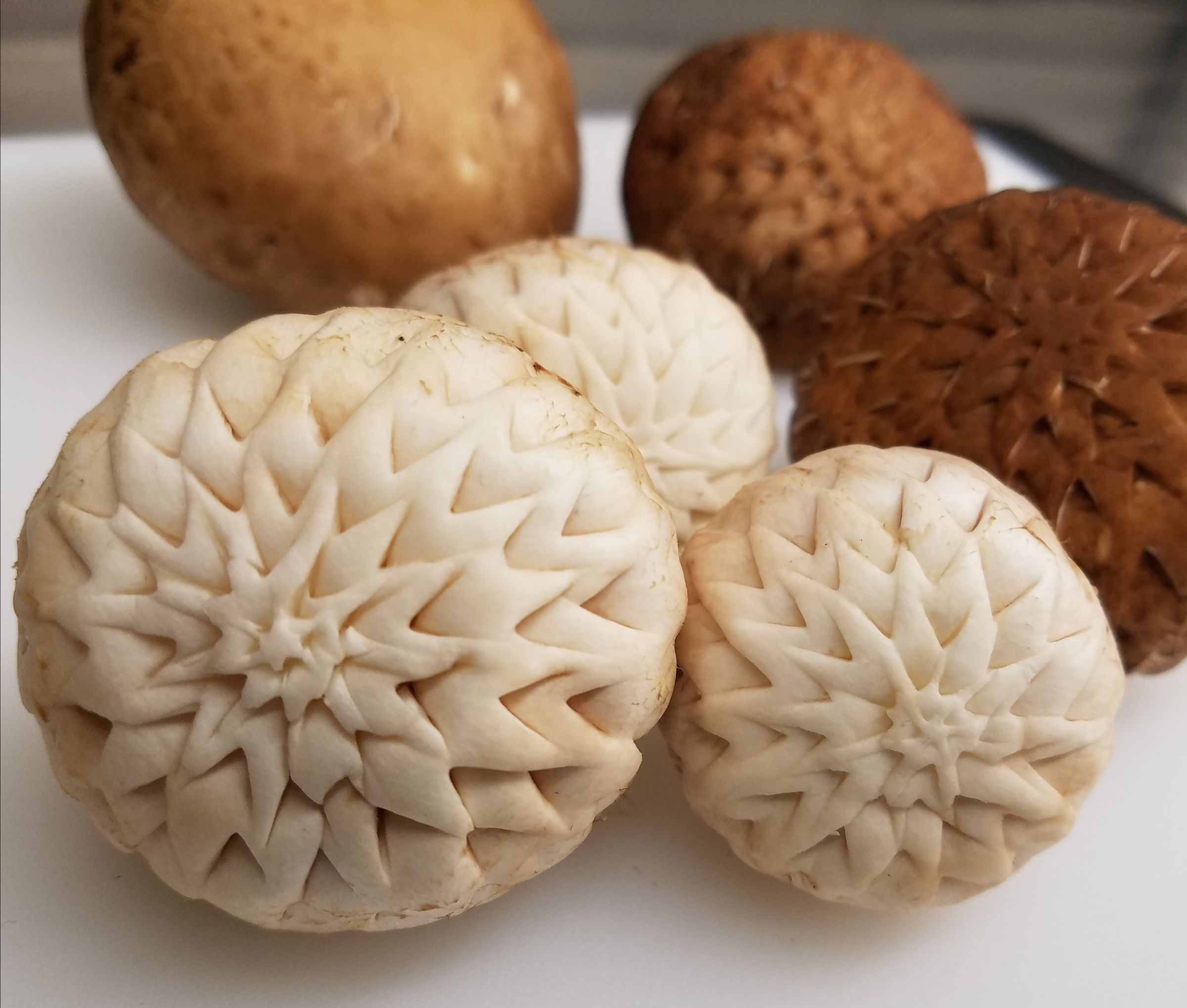 Simple Mushroom Flowers : 7 Steps (with Pictures) - Instructables