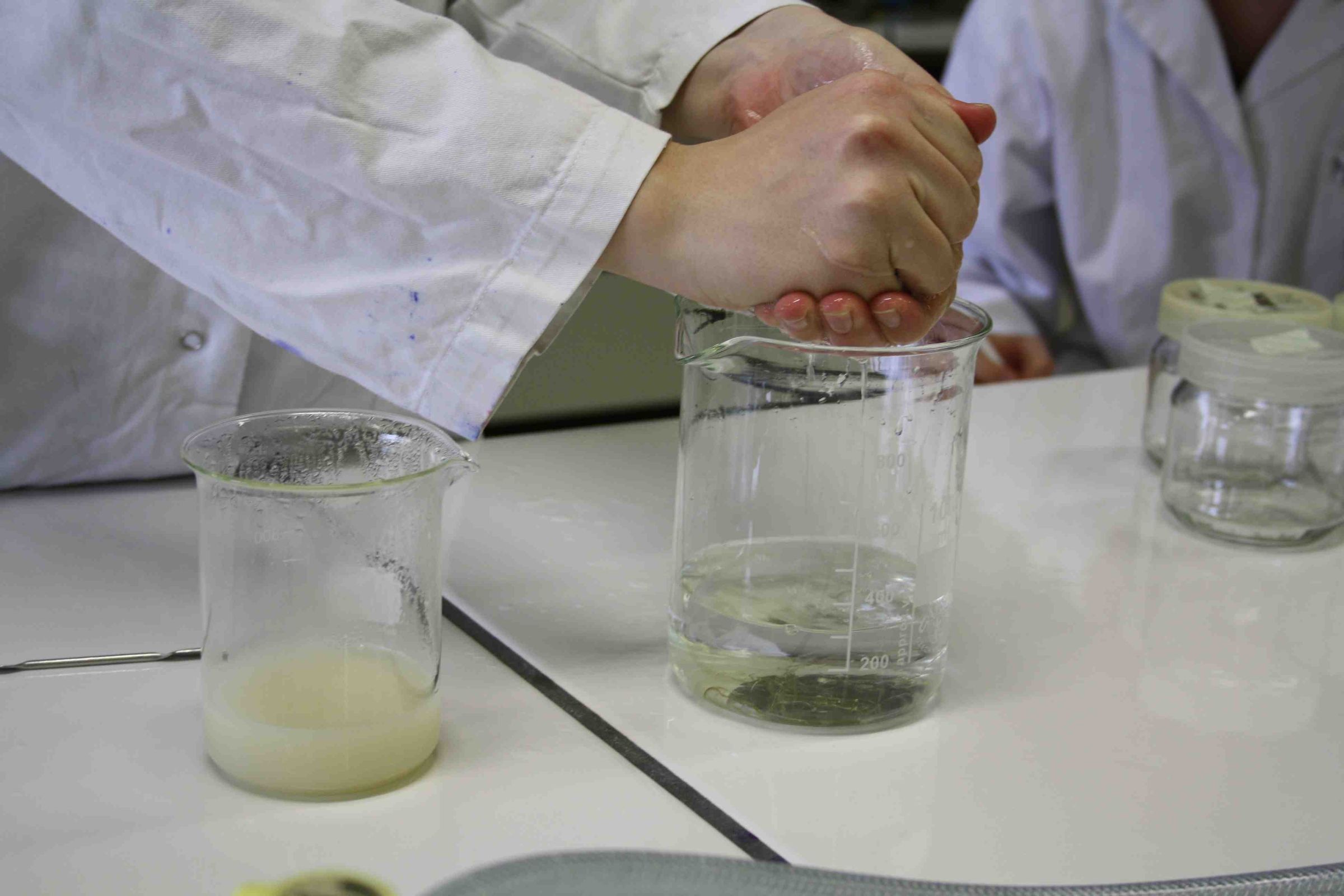 Cook Your Own Microbial Growth Plates : 8 Steps (with Pictures ...