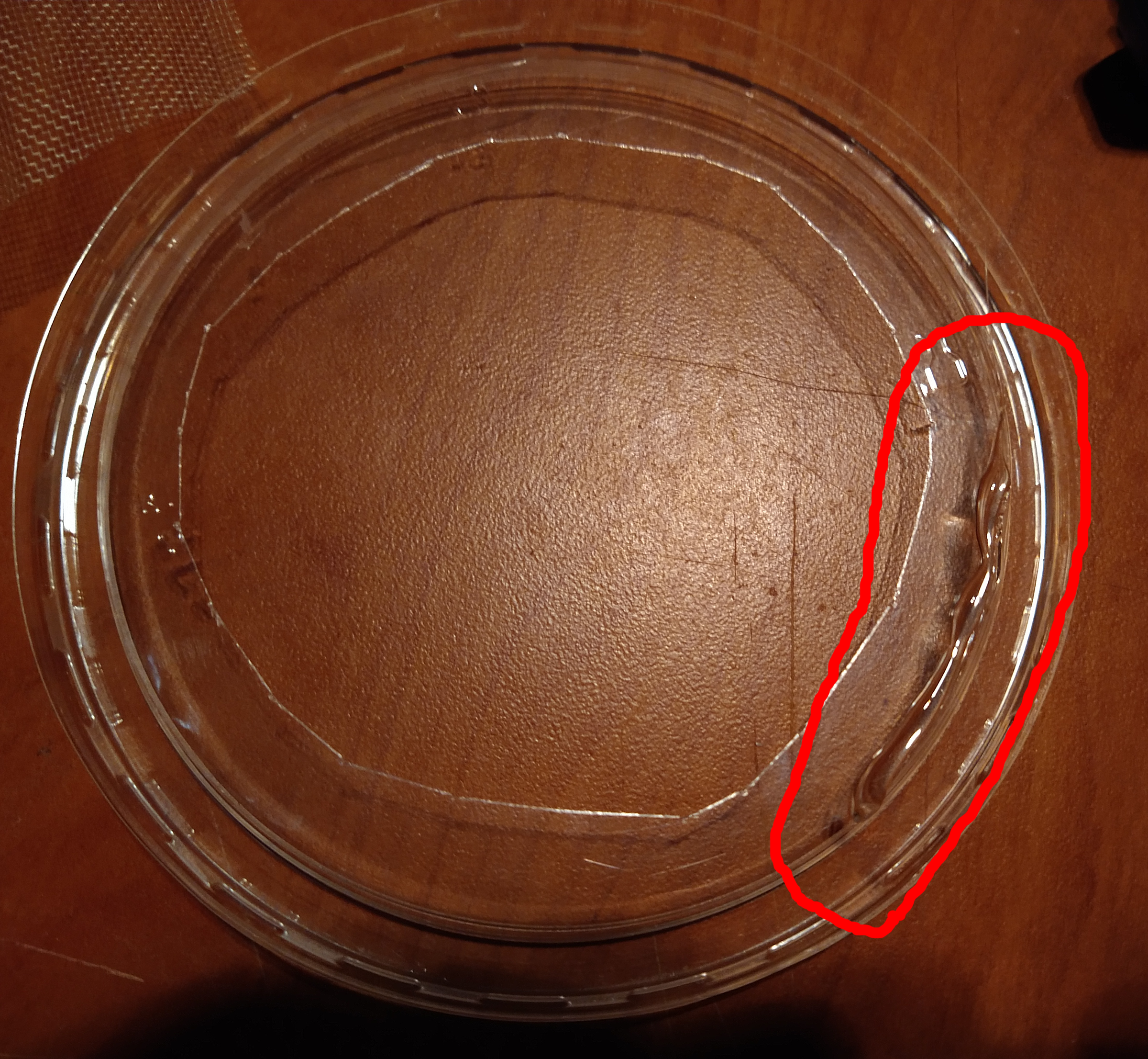 Perfect Praying Mantis Cups : 9 Steps (with Pictures) - Instructables