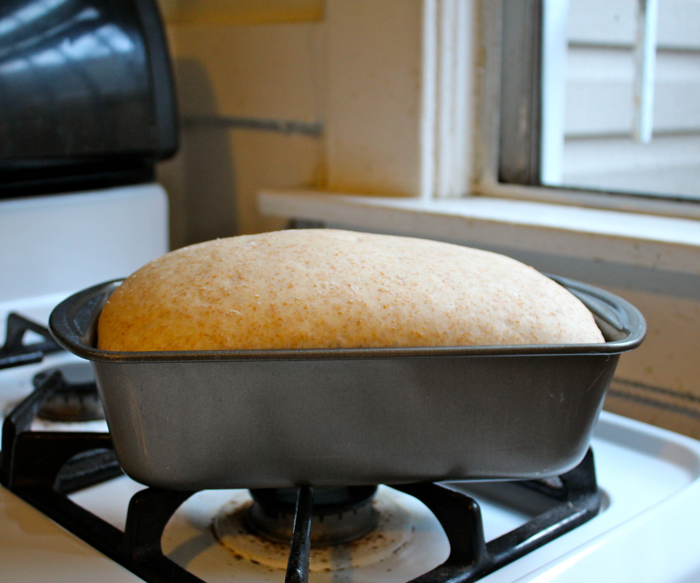 How to Bake Bread : 9 Steps (with Pictures) - Instructables