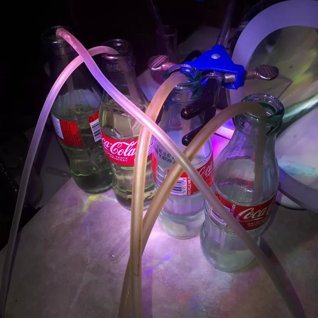 Growing Algae and Then Exposing Them to Gamma Rays. : 5 Steps ...