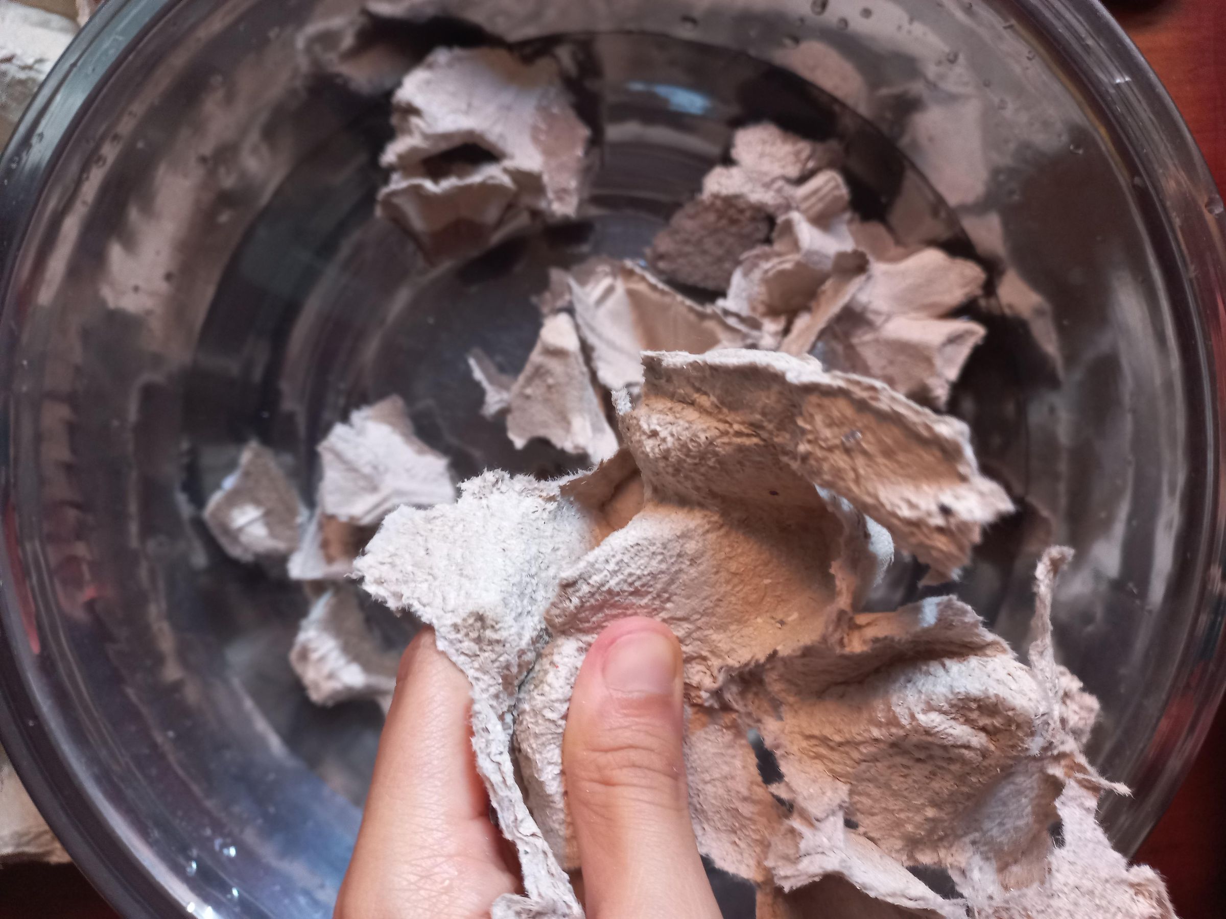 How to Turn Egg Cartons Into a Plant Pot : 8 Steps (with Pictures ...