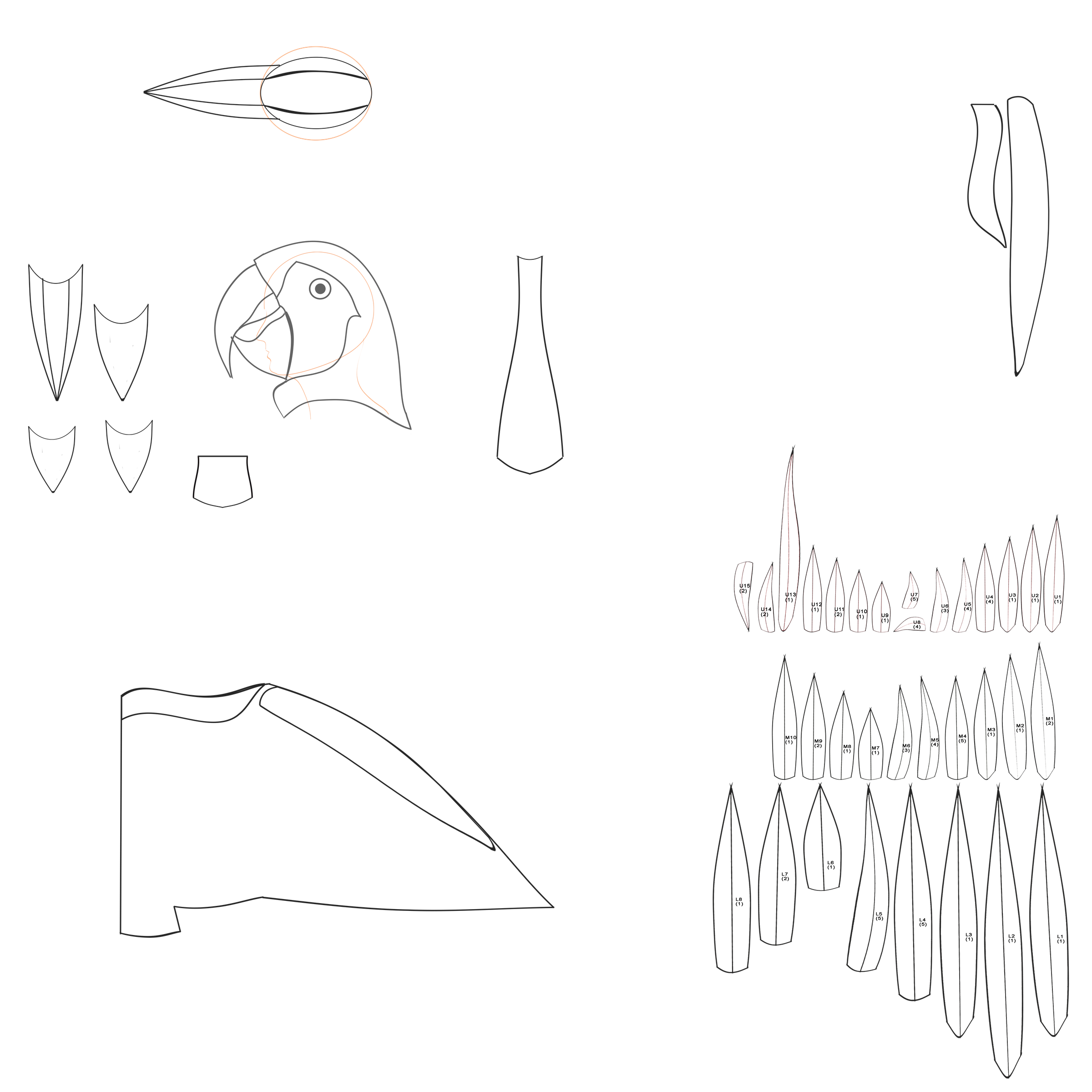 Parrot Mask and Wings : 11 Steps (with Pictures) - Instructables