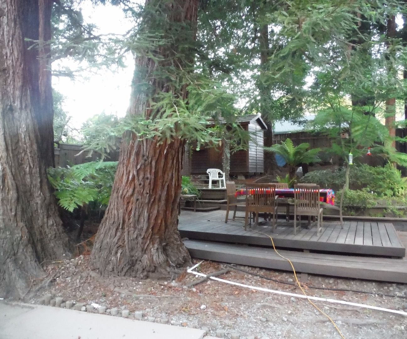 Tree Safe : 6 Steps (with Pictures) - Instructables