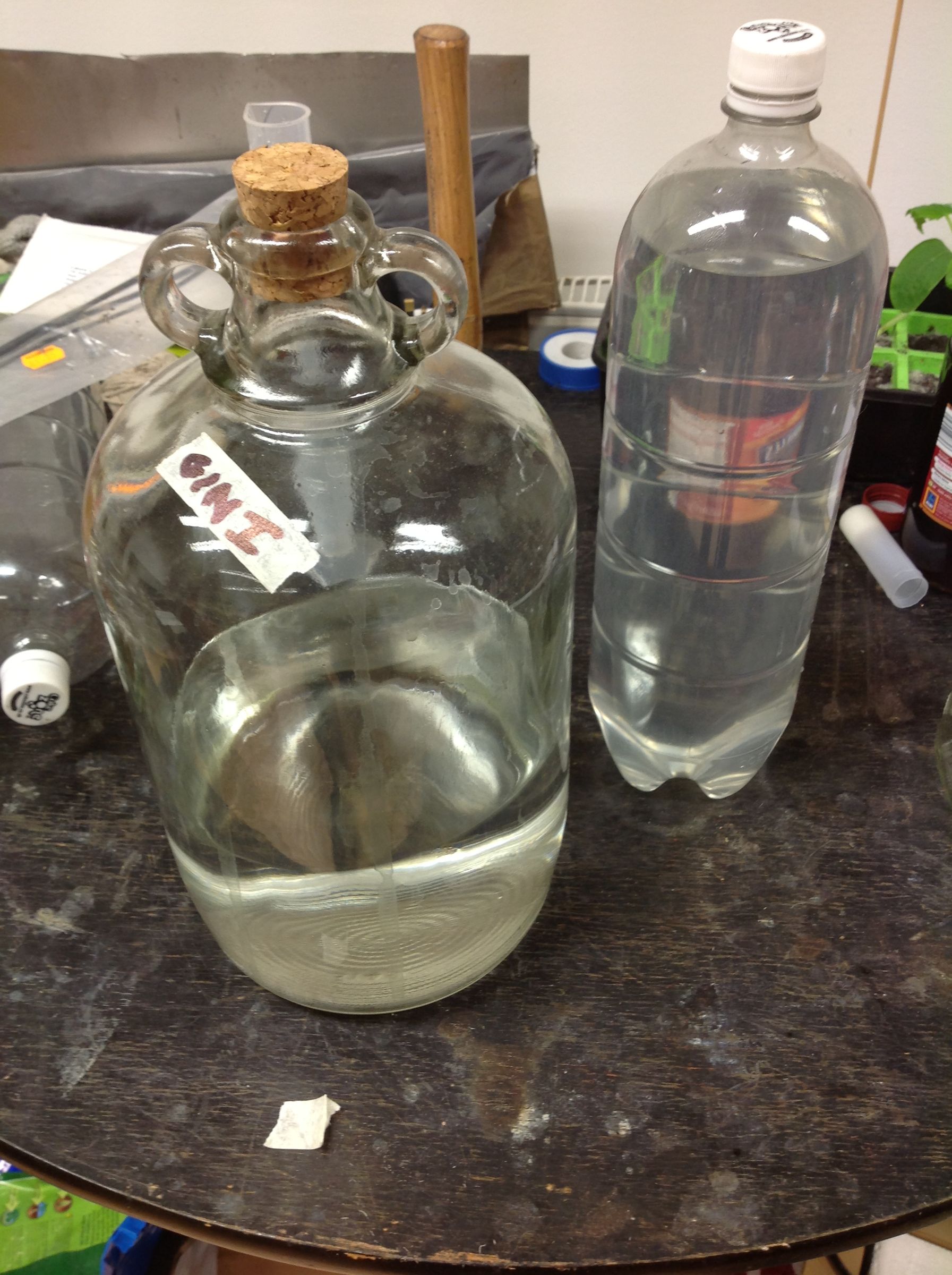 Gin From Scratch (Vapour Infused) : 6 Steps - Instructables