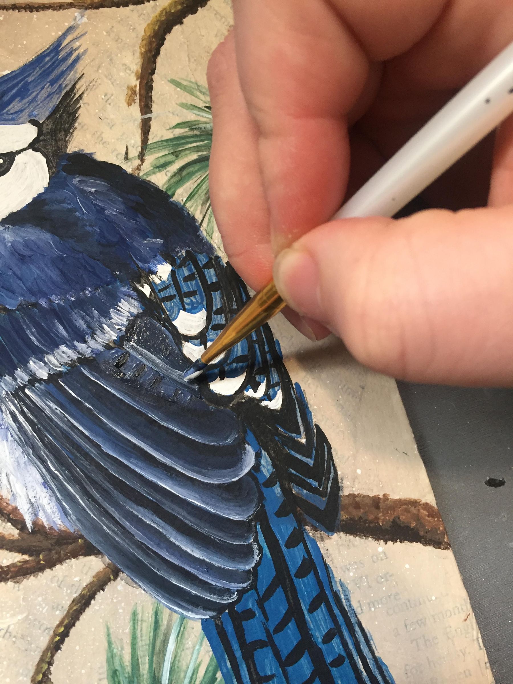 How to Paint a Blue Jay on a Branch. : 13 Steps (with Pictures ...