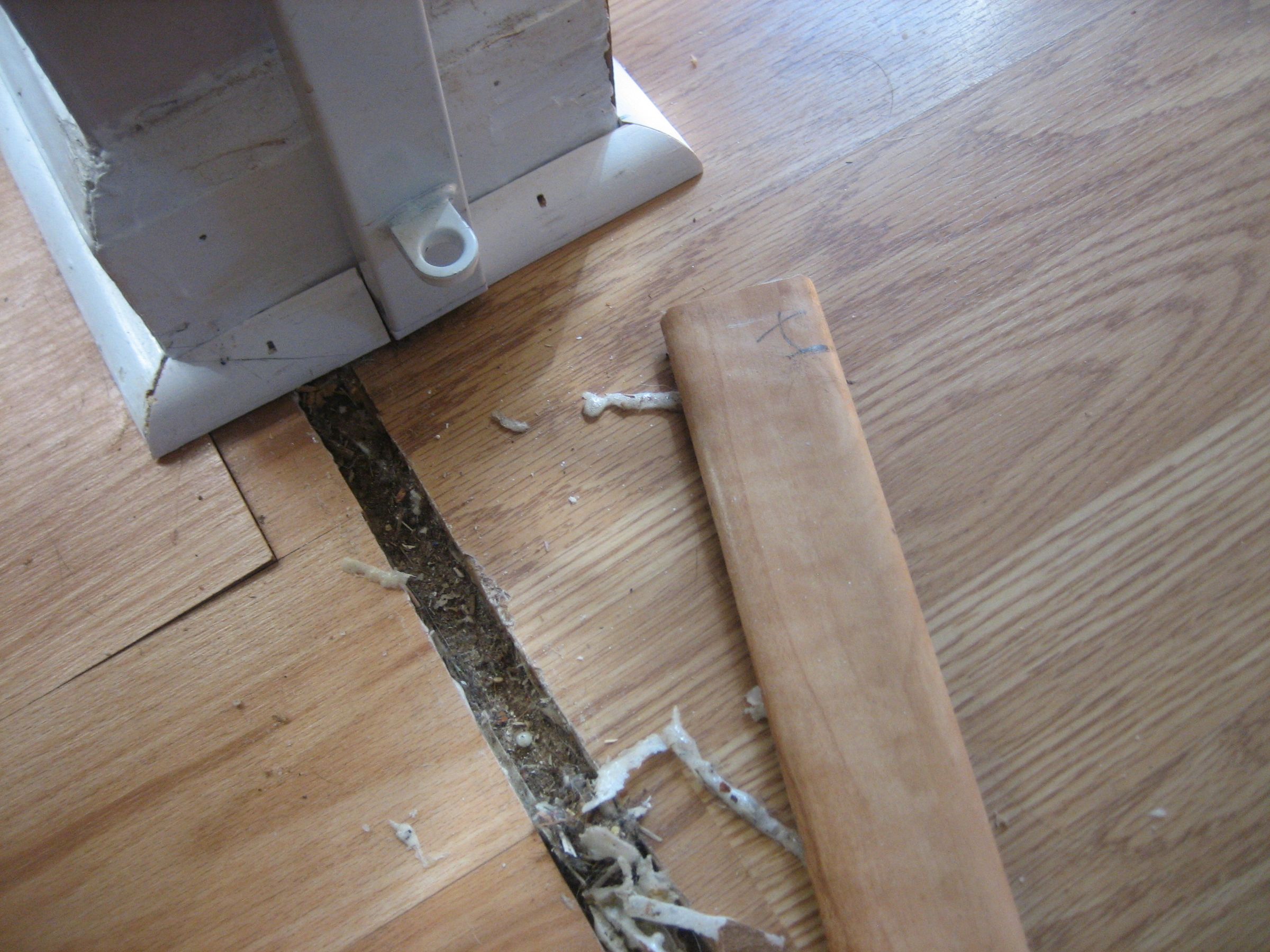 BASEBOARD MOLDING REPAIR : 8 Steps (with Pictures) - Instructables