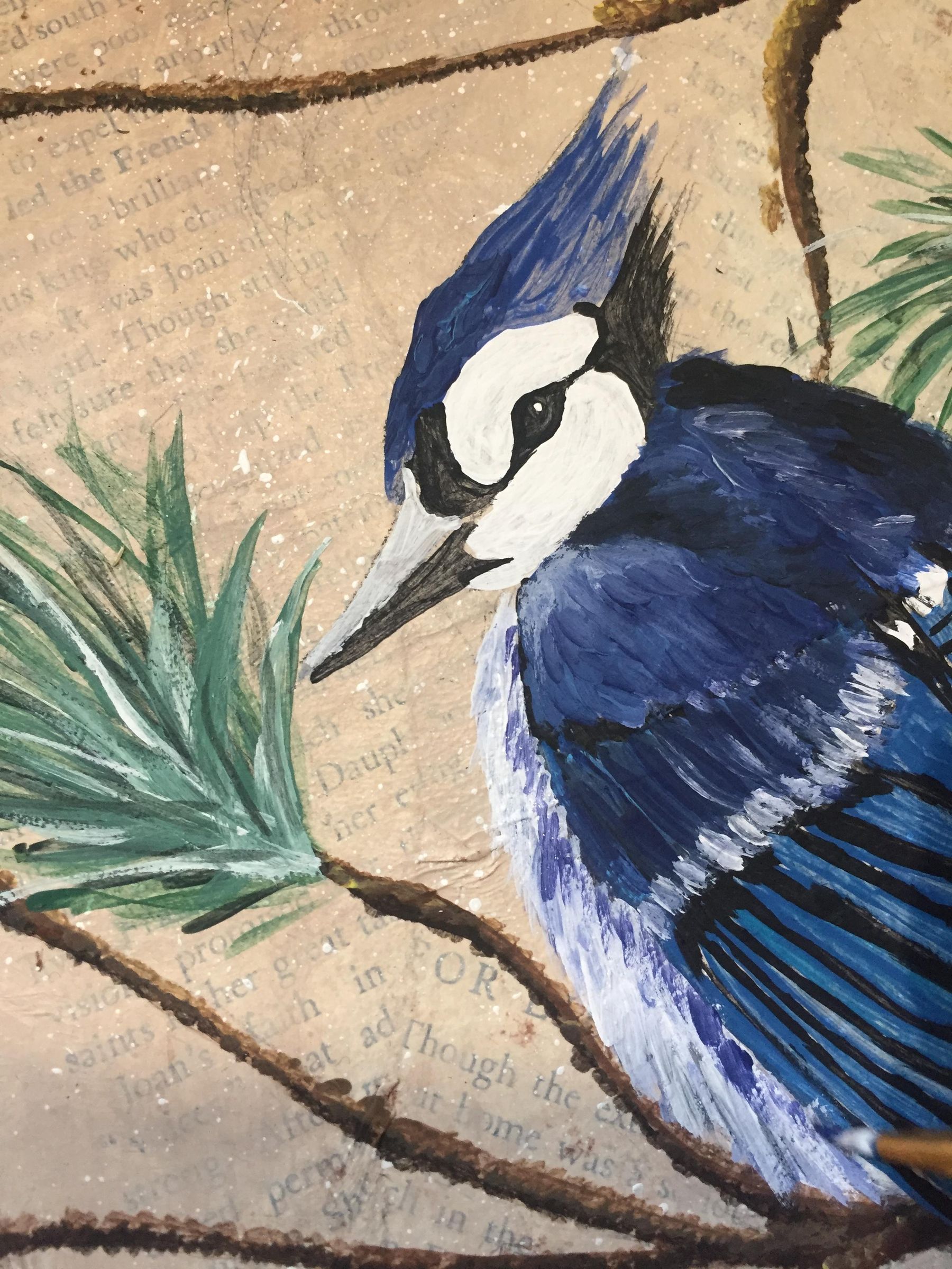 How to Paint a Blue Jay on a Branch. : 13 Steps (with Pictures ...
