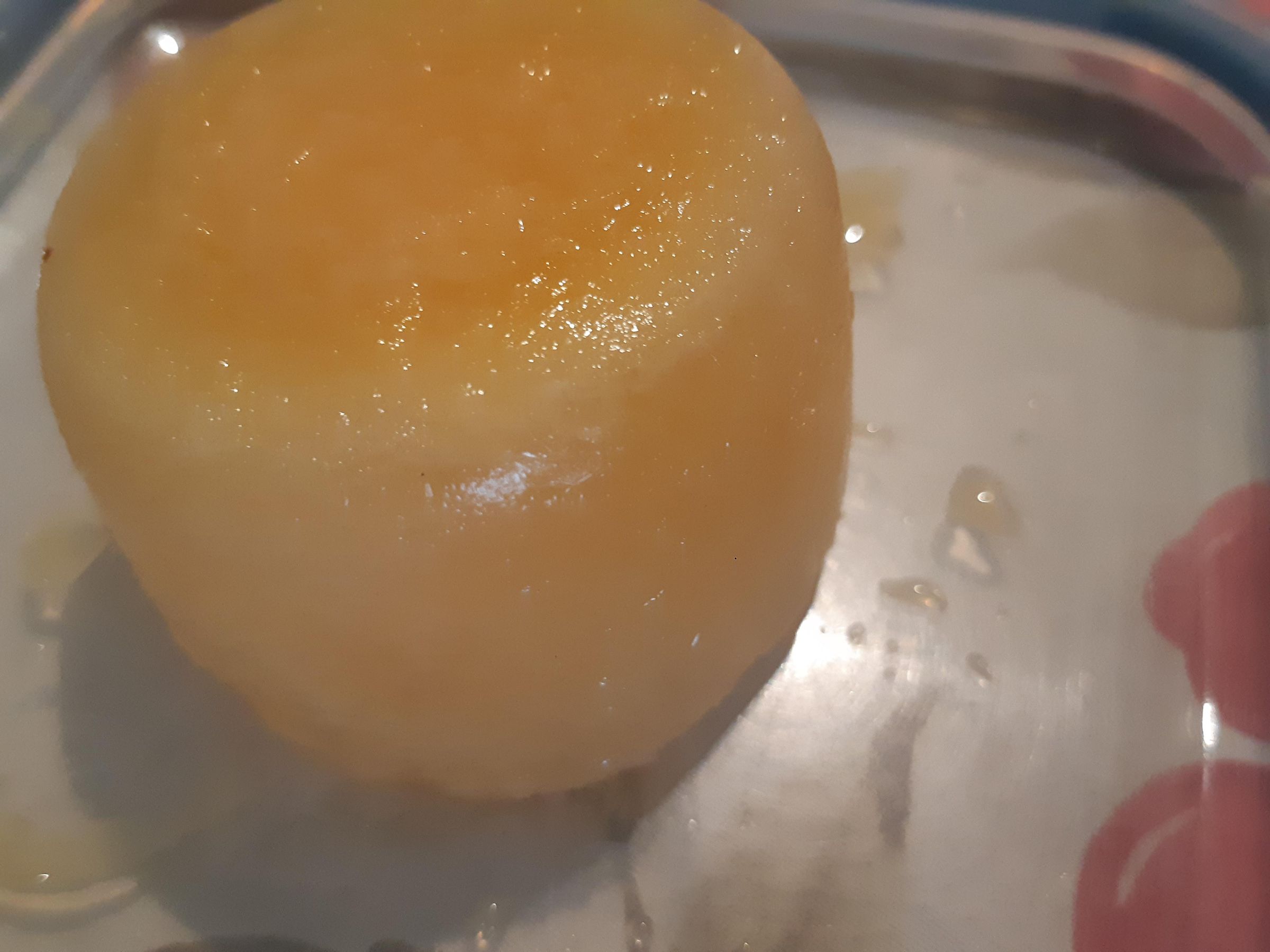 Candy Desert Ecosystem : 6 Steps - Instructables