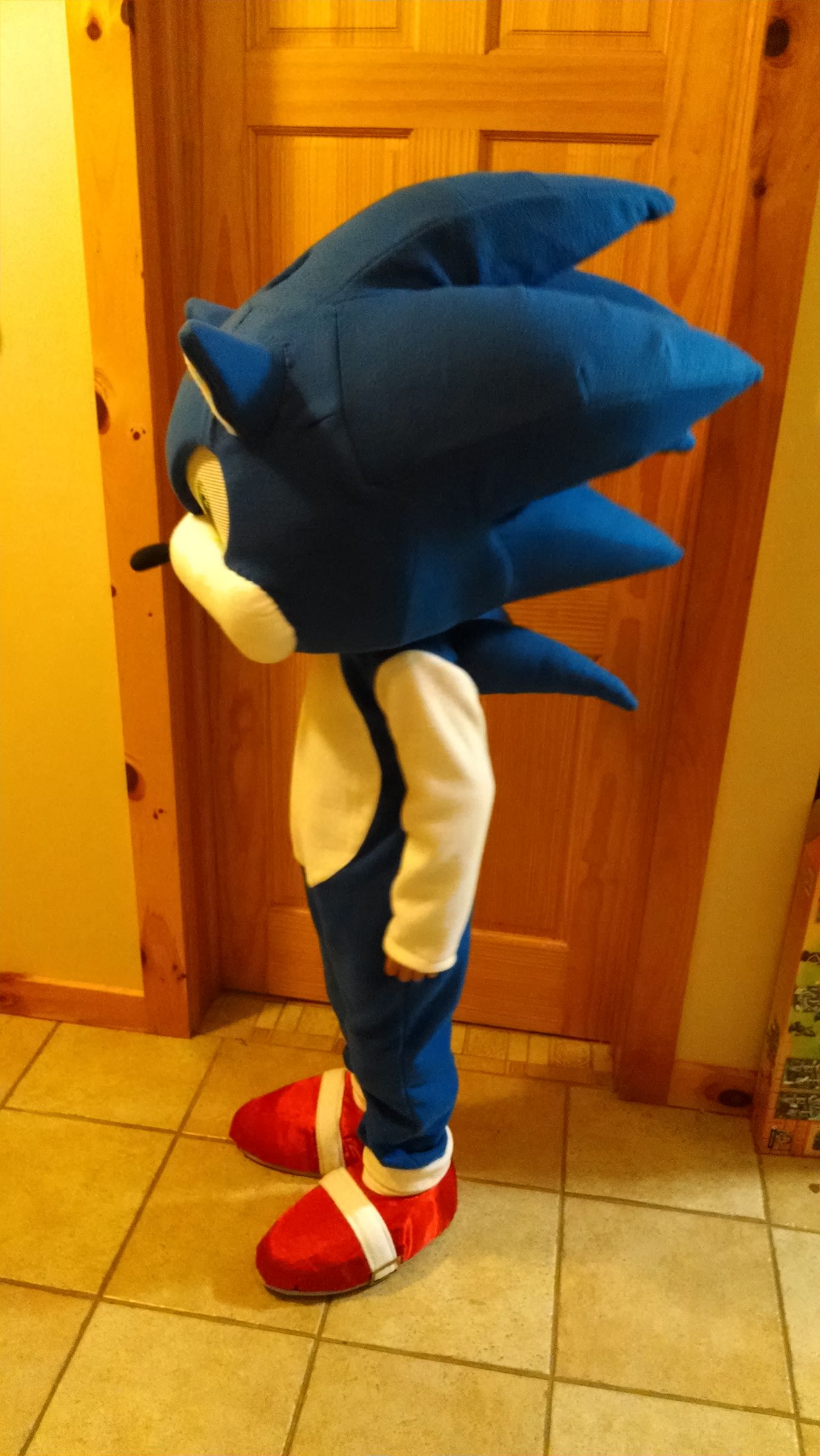 Childrens Sonic the Hedgehog Mascot Costume : 12 Steps (with Pictures ...
