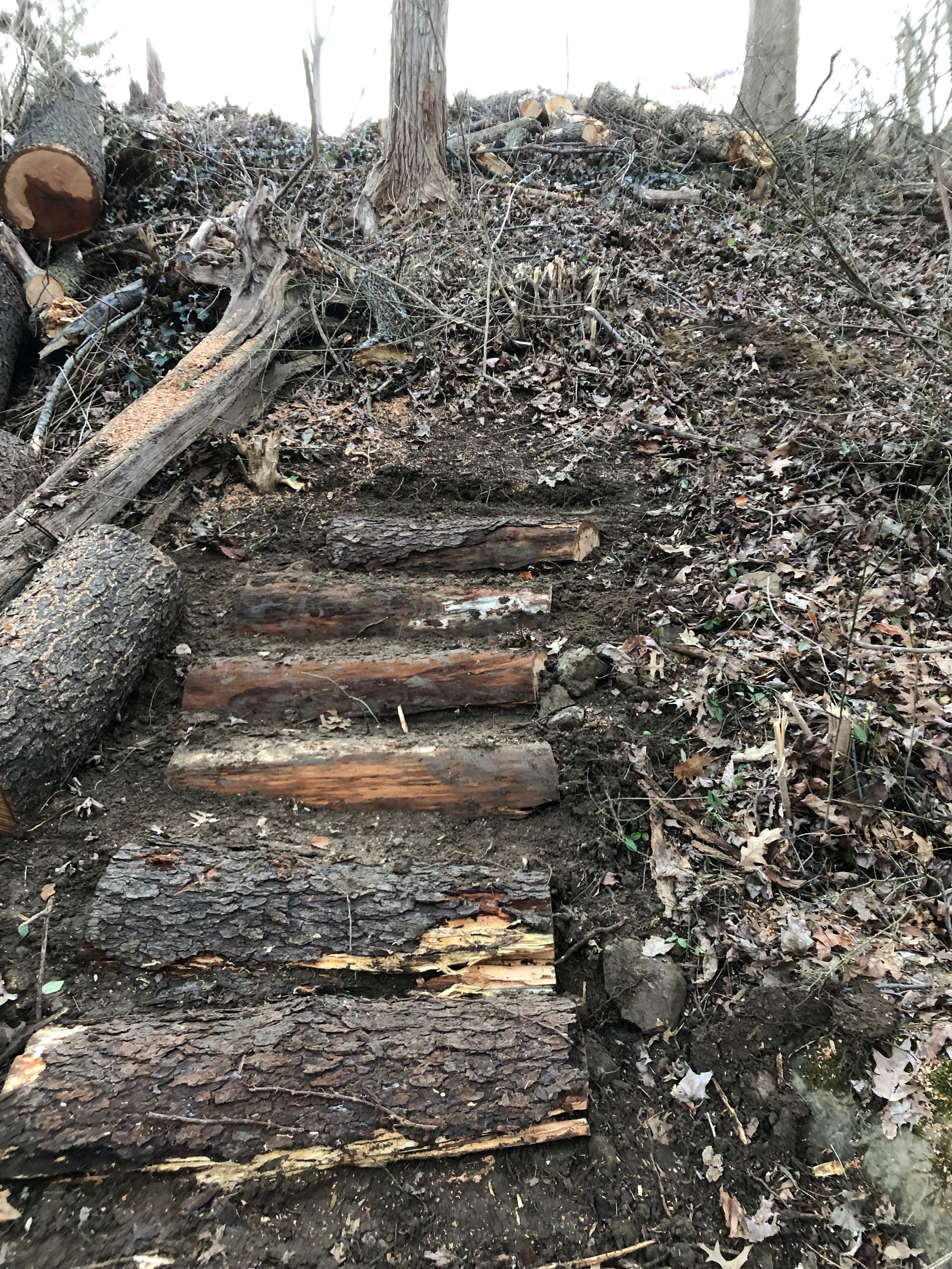 Log Path Cut Into a Hill : 5 Steps (with Pictures) - Instructables