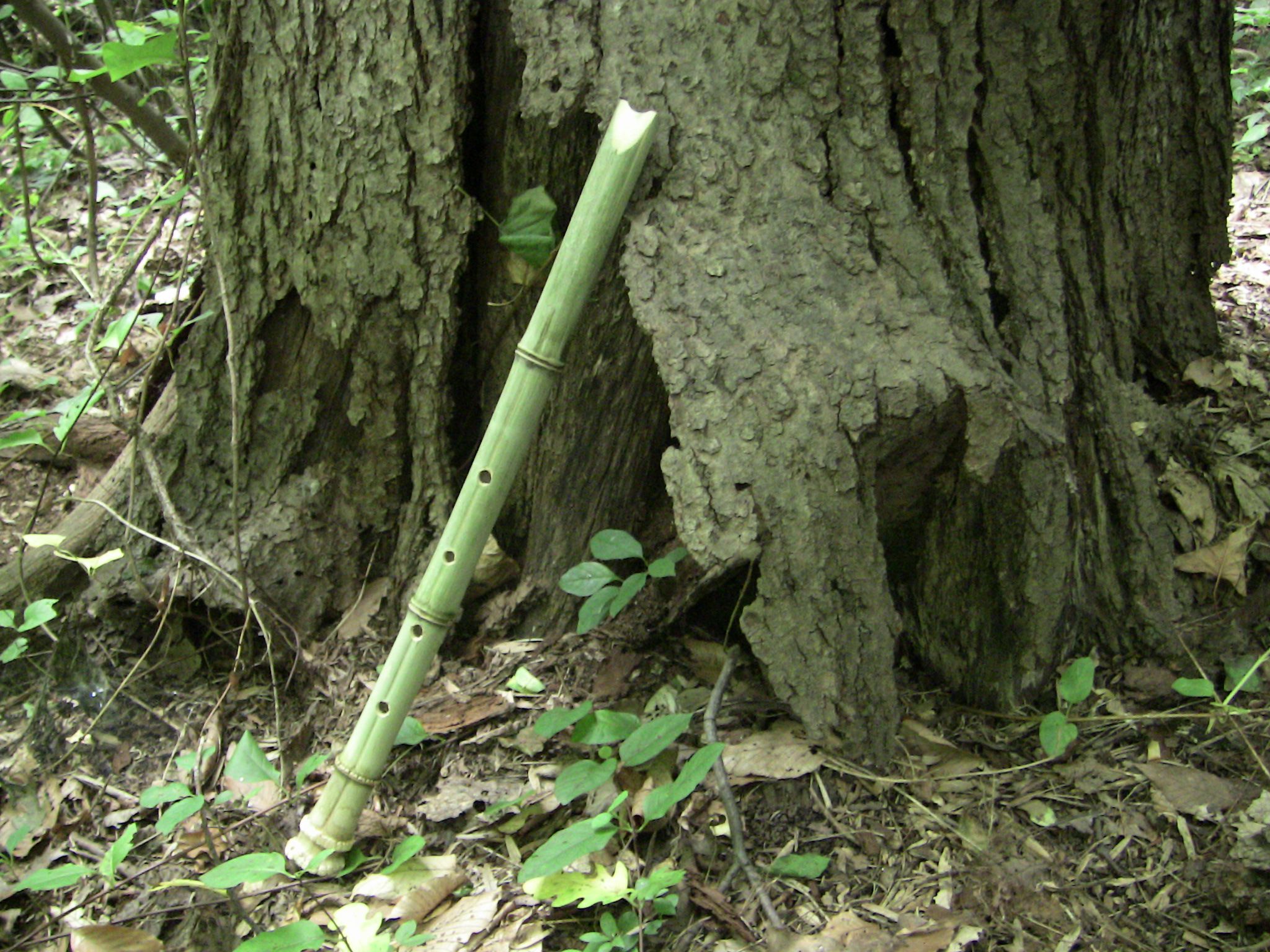 Make 4 Easy Bamboo Flutes for Free! : 7 Steps (with Pictures ...