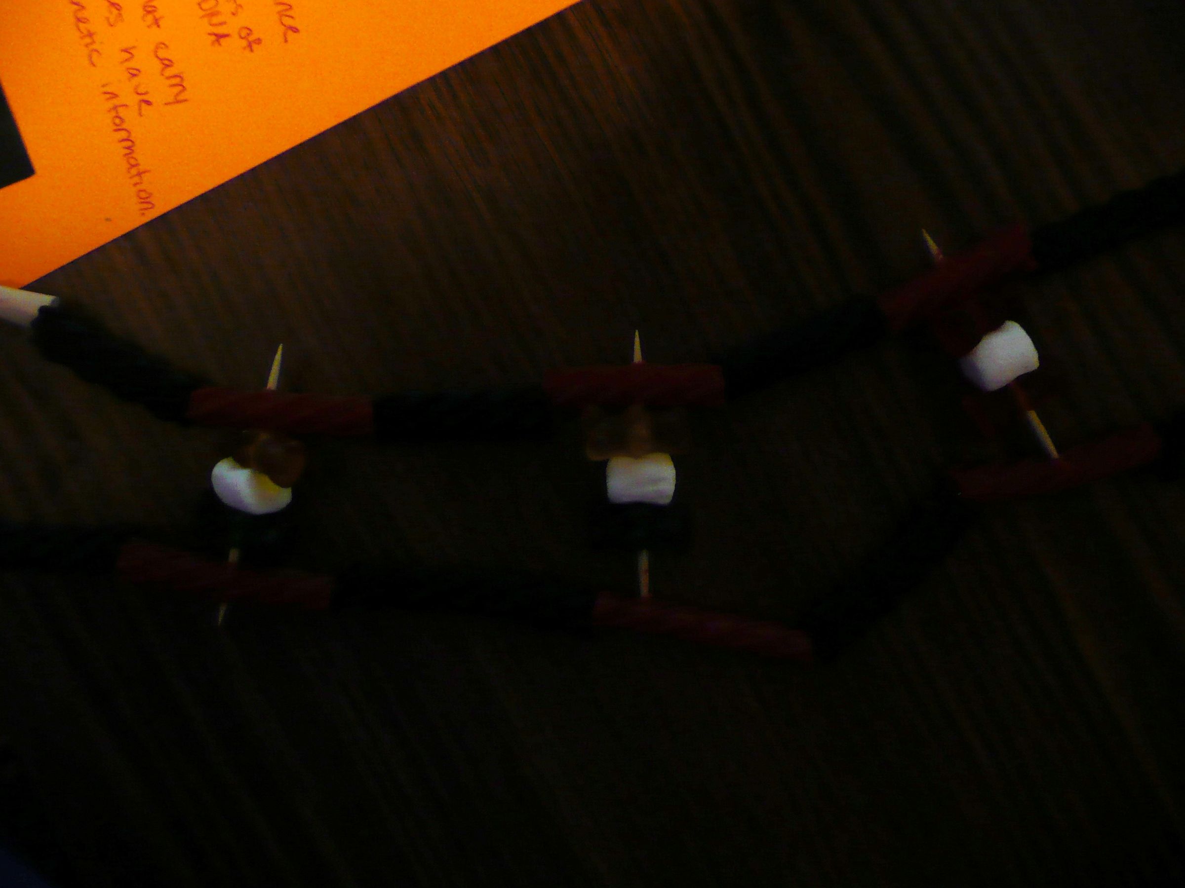 How to Make a DNA Model Out of Candy : 5 Steps - Instructables