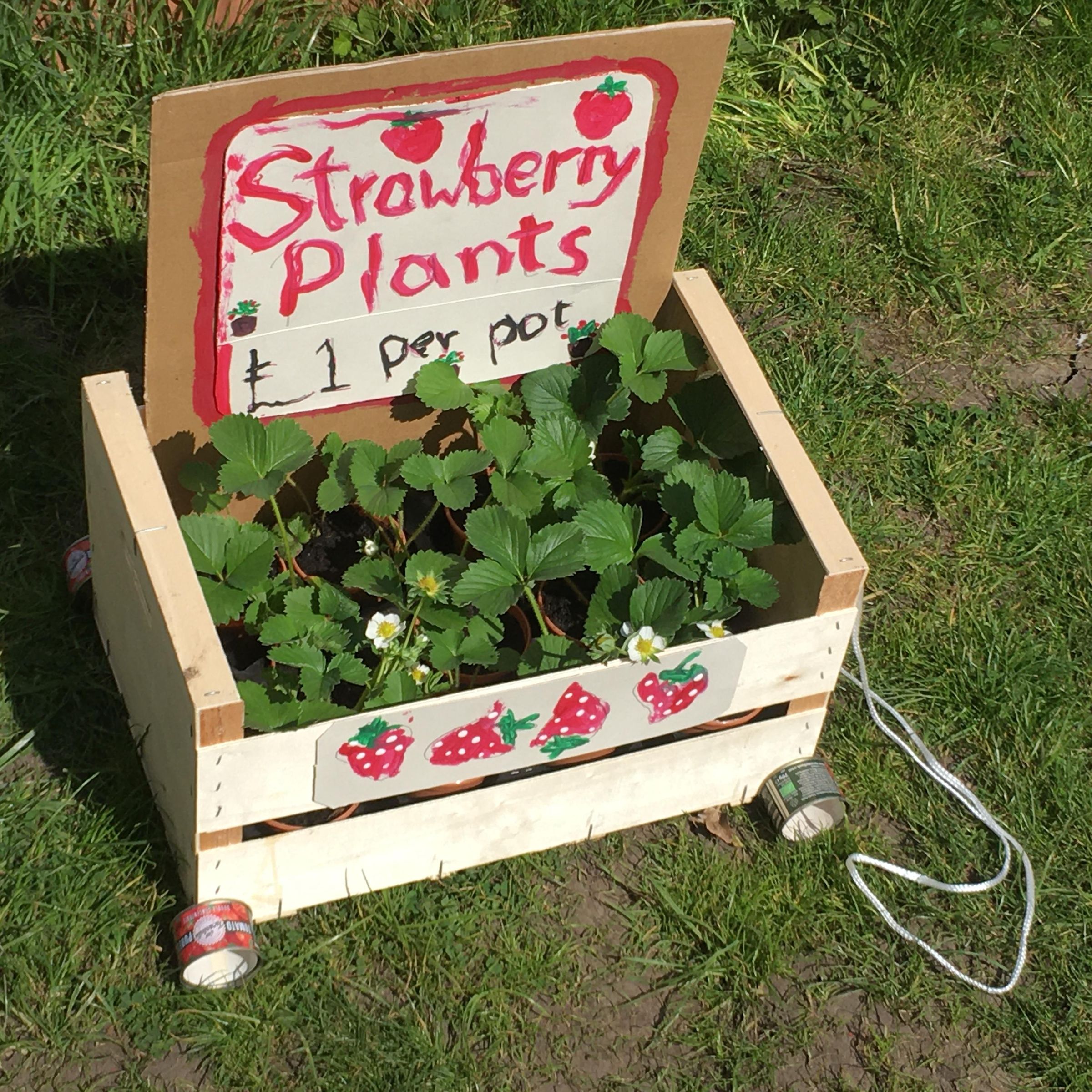 Mobile Plant Shop / Seed Swap Shop : 12 Steps (with Pictures ...