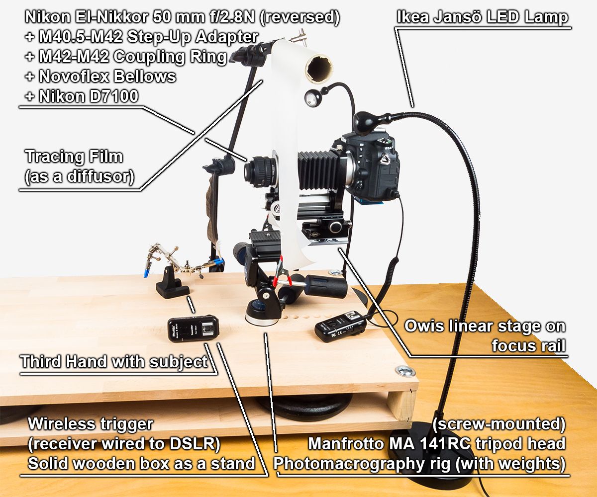 DSLR Macro Photography: a Comprehensive Overview : 22 Steps (with ...