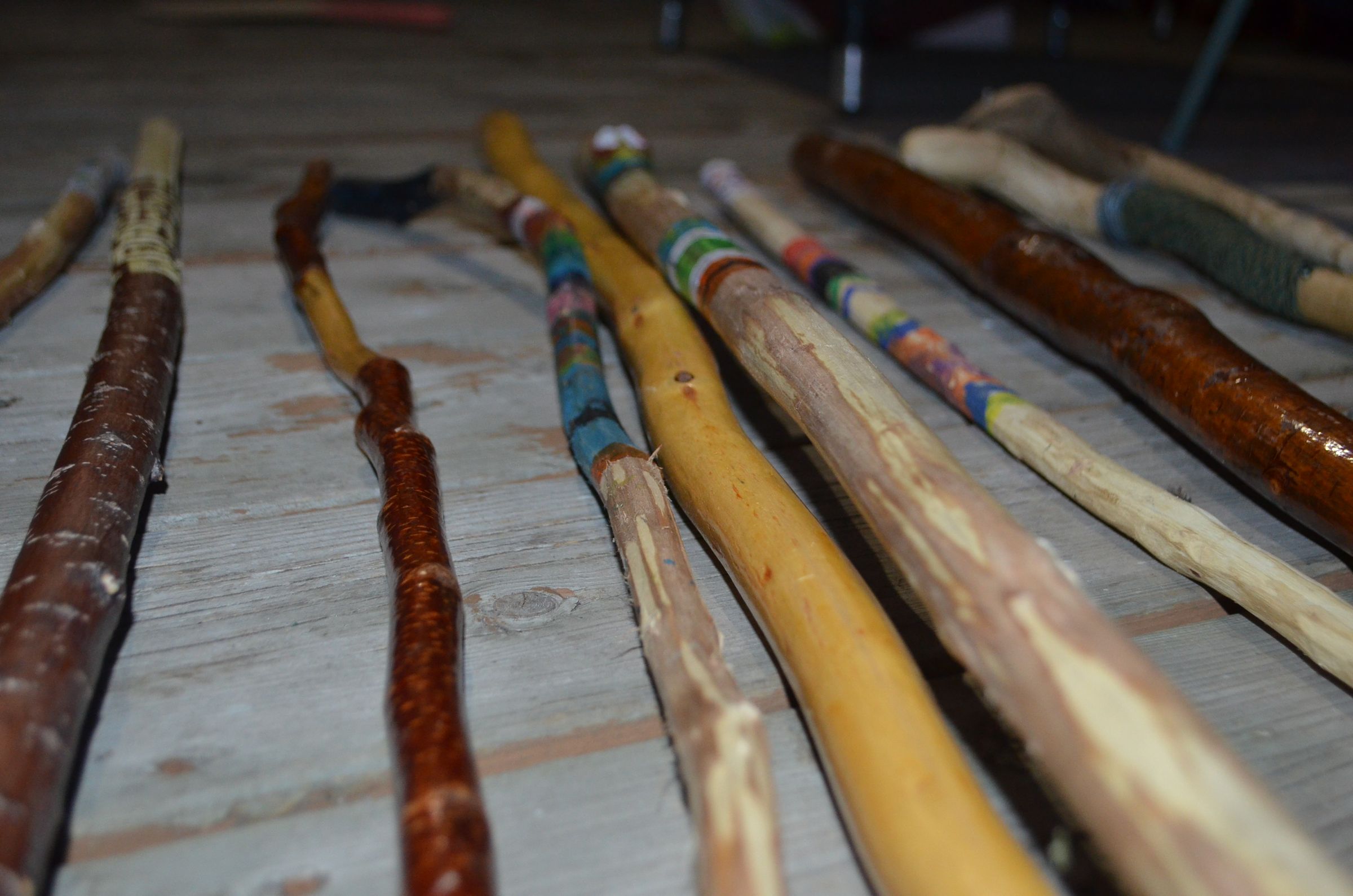 Wacky Walking Sticks : 5 Steps (with Pictures) - Instructables