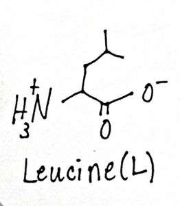 How to Draw Peptide Chains : 18 Steps (with Pictures) - Instructables