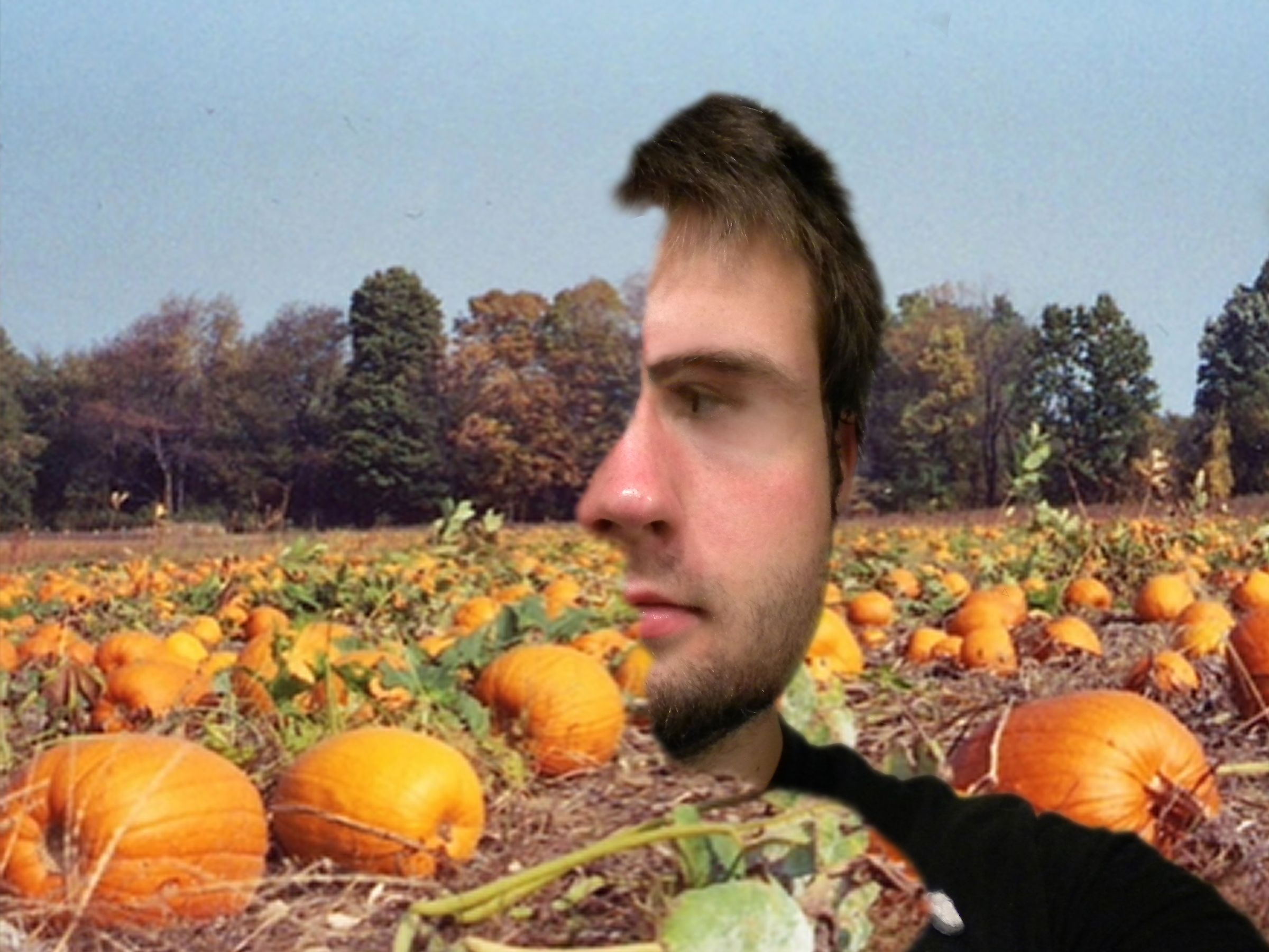 Creepy Double Face Illusion : 4 Steps - Instructables