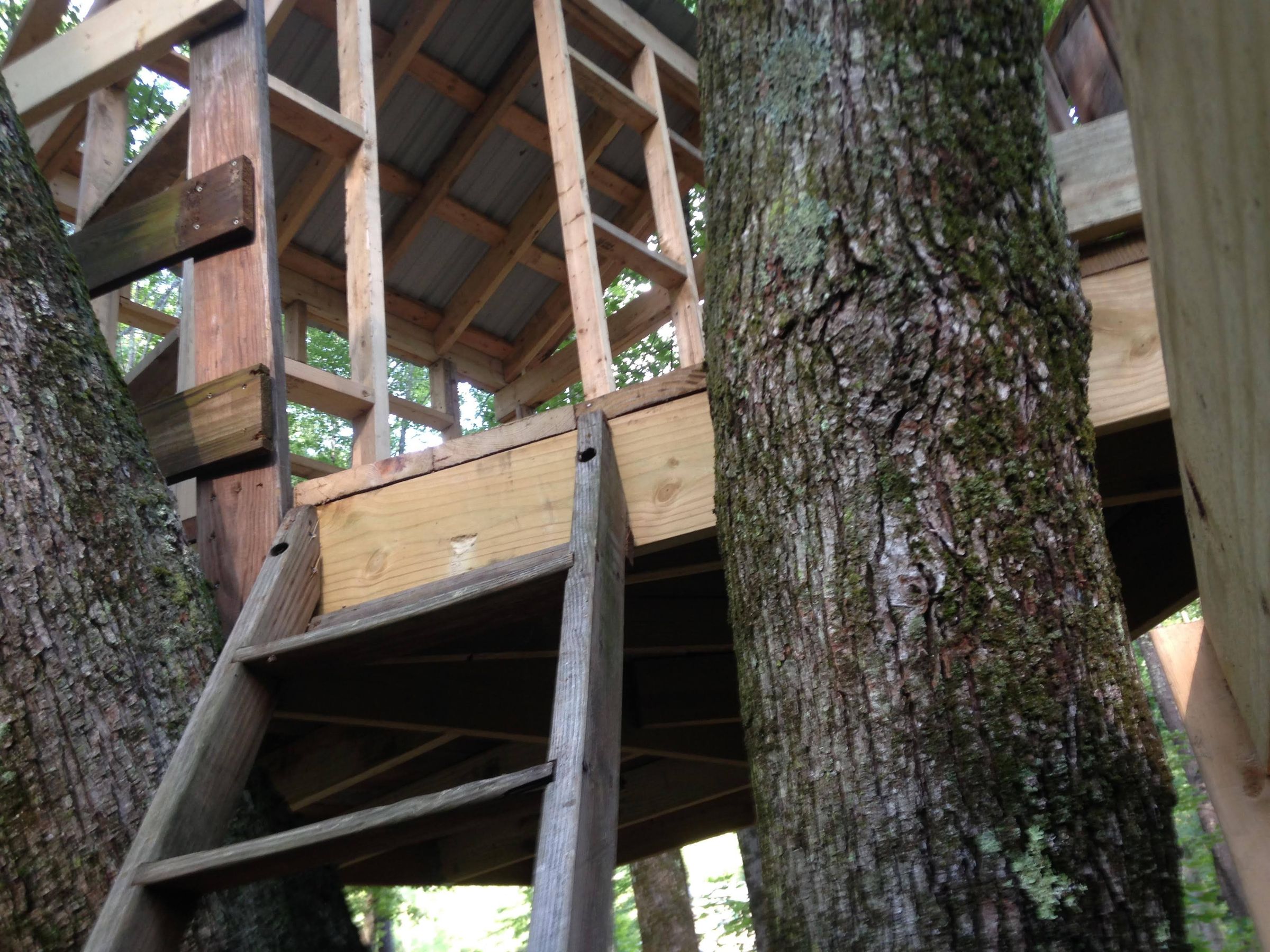 Multi Level Tree House From Recycled Materials : 10 Steps (with ...