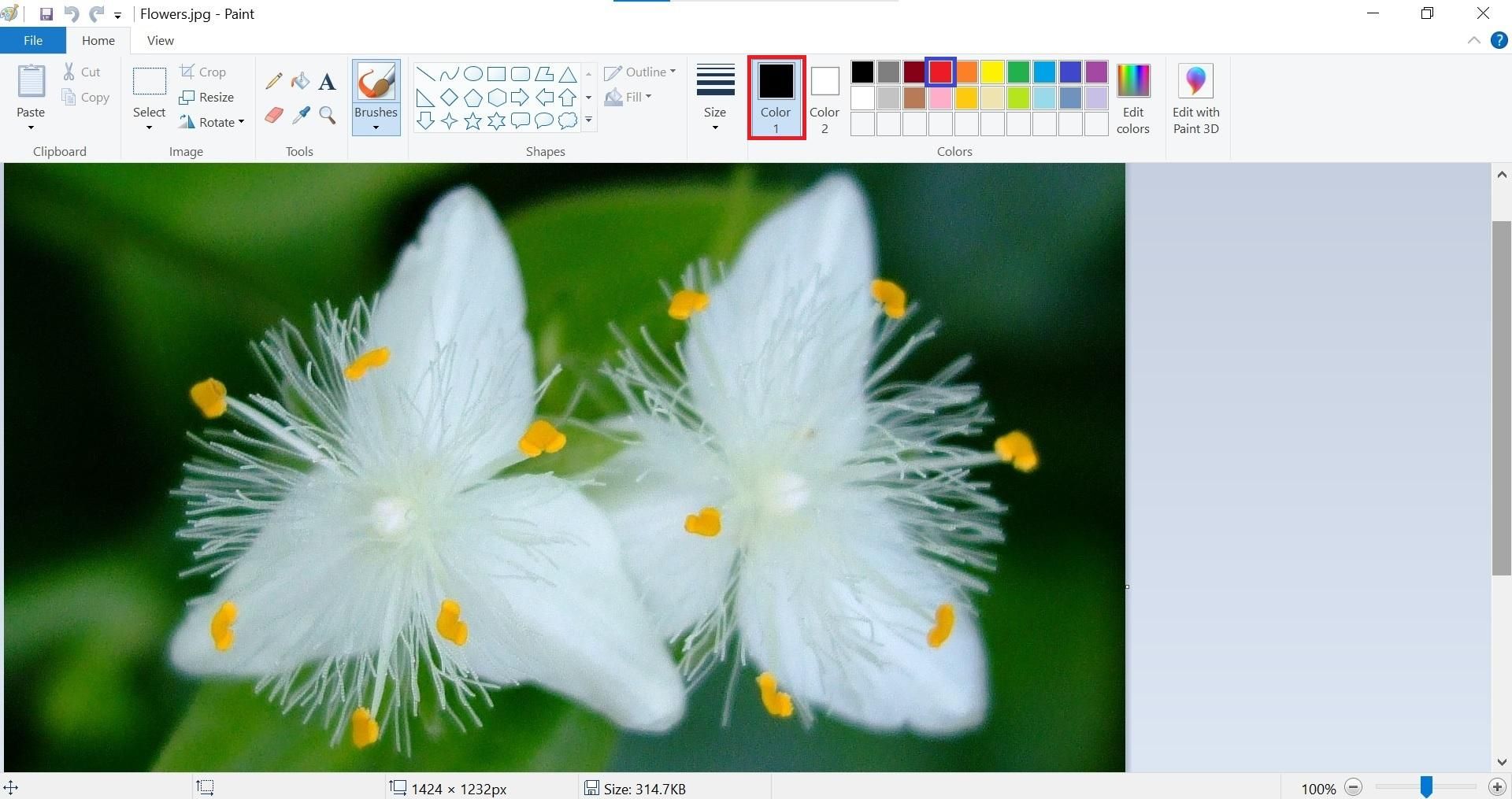Microsoft Paint: Simple Picture Modification - Instructables